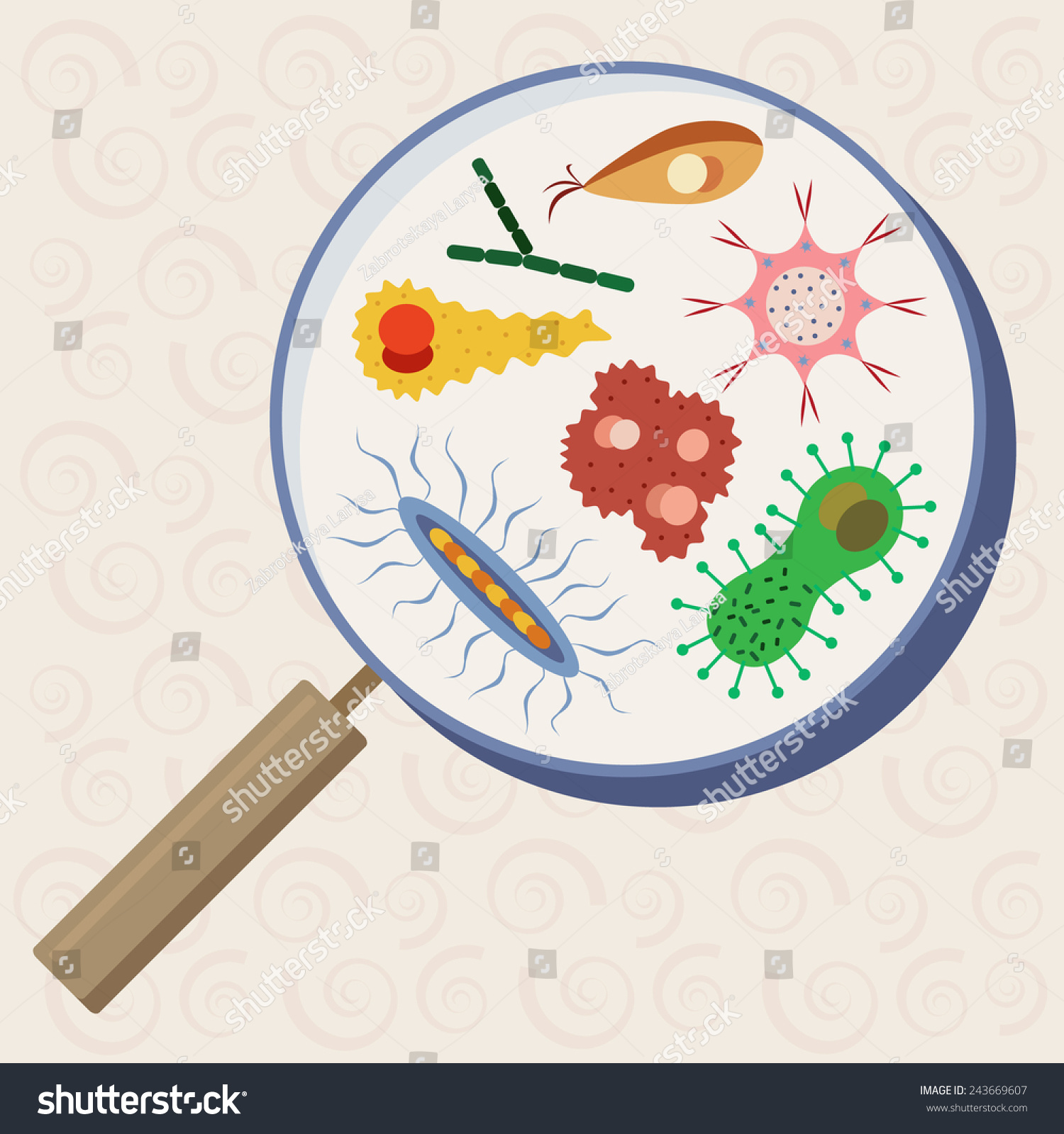 Cartoon Various Microbes. Vector Illustration - 243669607 : Shutterstock