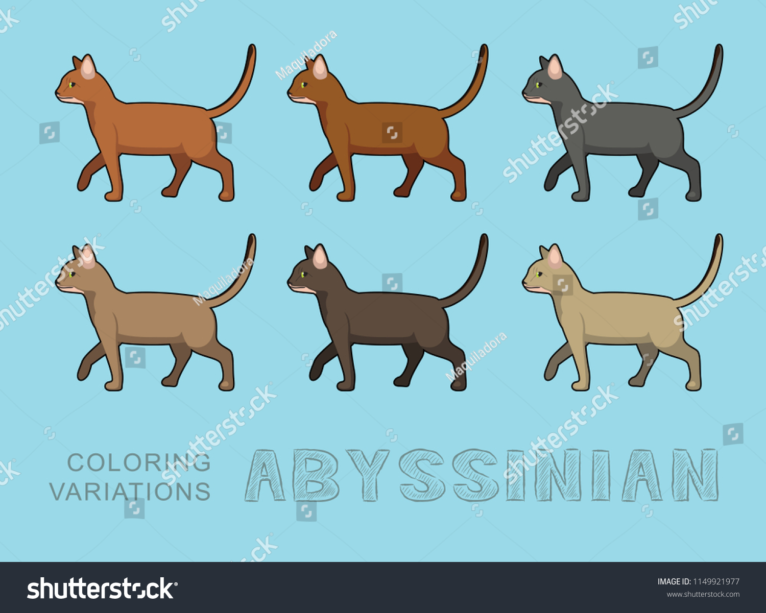 Cat Abyssinian Coloring Variations Vector Illustration Stock Vector ...