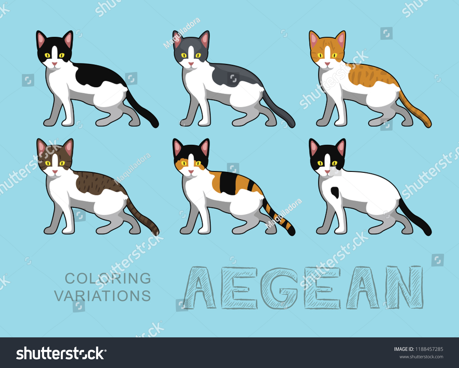 Cat Aegean Coloring Variations Vector Illustration Stock Vector ...
