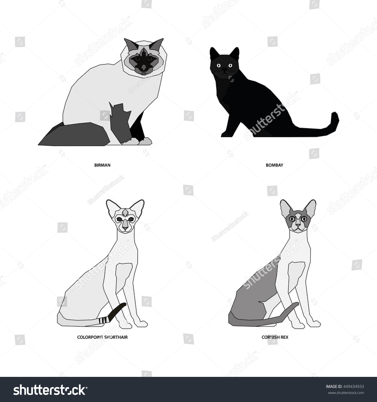 Cat Breeds Set Vector Illustration Stock Vector (Royalty Free ...