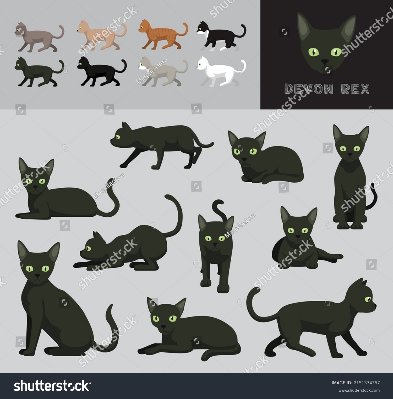 Cat Devon Rex Cartoon Vector Illustration Stock Vector (Royalty Free ...