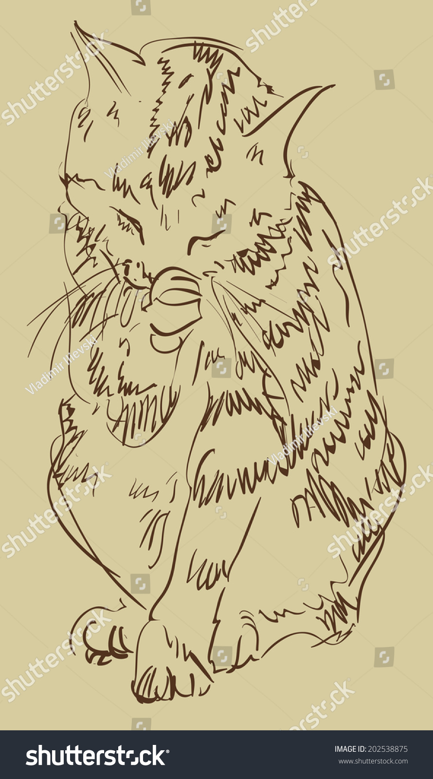 Cat Drawing Simple Vector Sketch Stock Vector (Royalty Free) 202538875