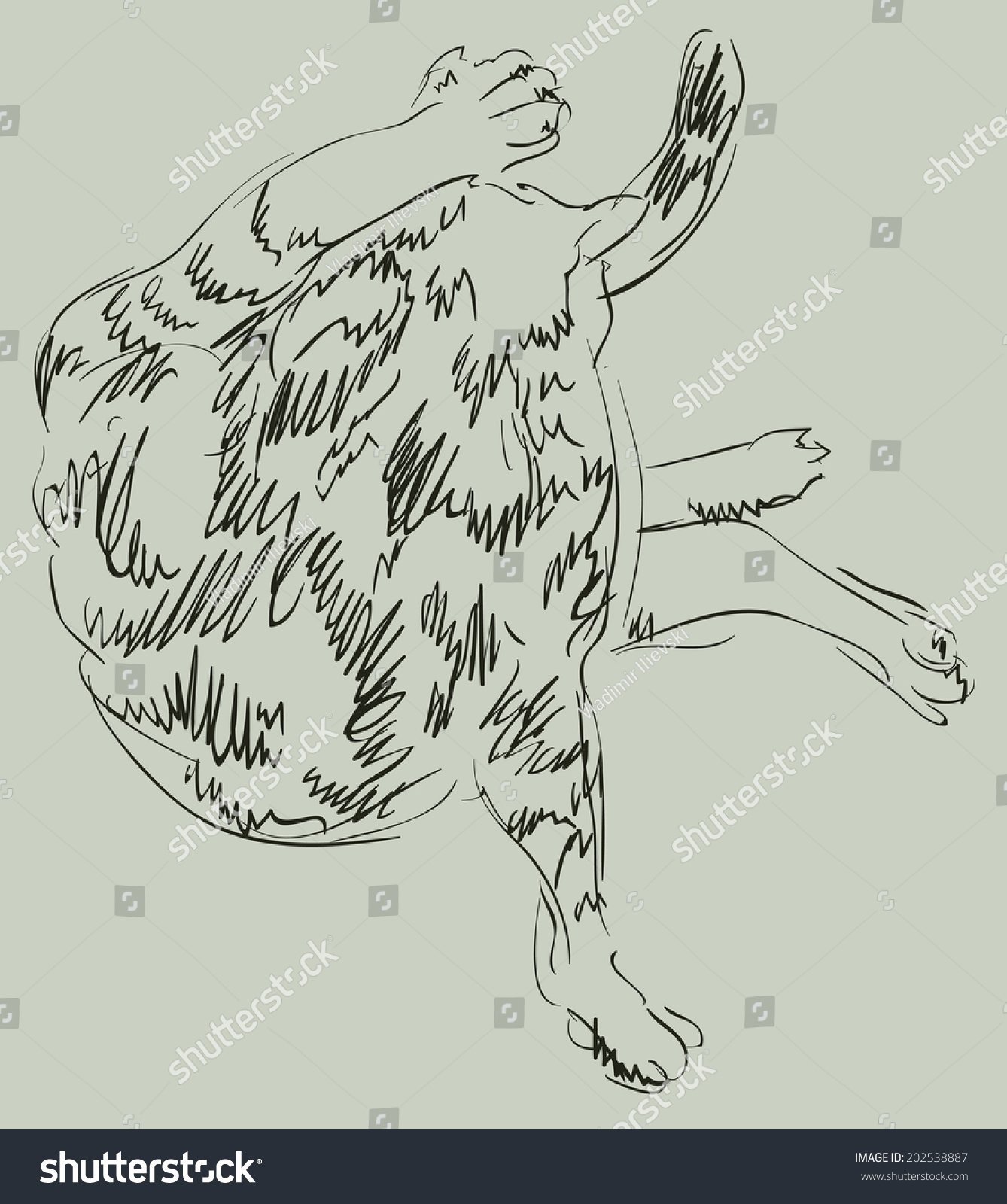 Cat Drawing Simple Vector Sketch Stock Vector (Royalty Free) 202538887 ...