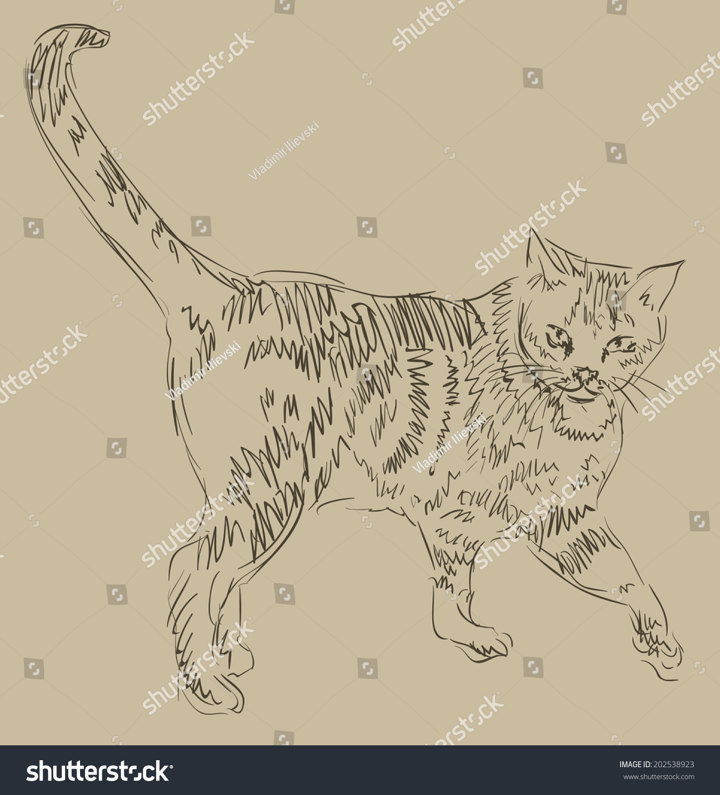 Cat Drawing Simple Vector Sketch Stock Vector (Royalty Free) 202538923 ...