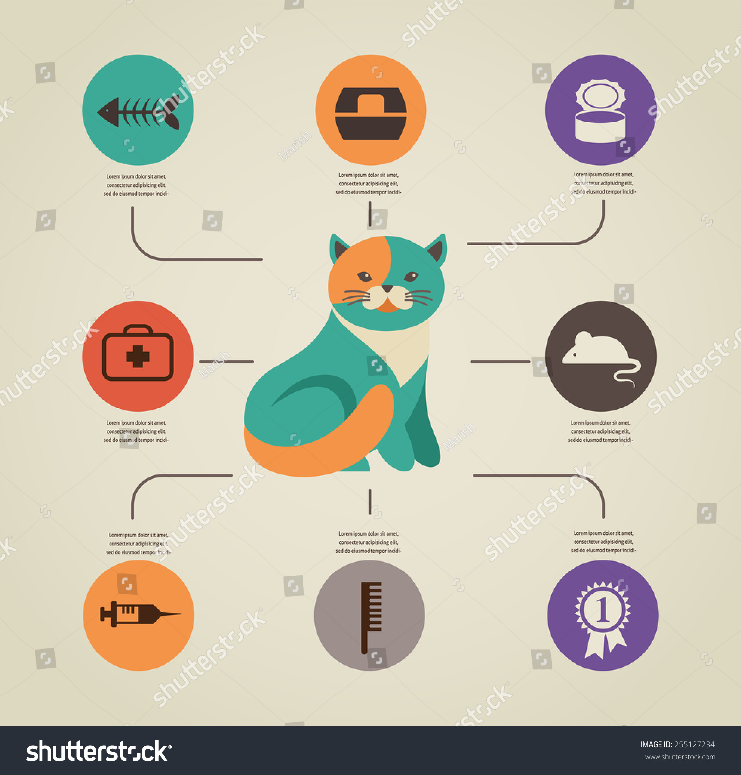 5,069 Cat infographic Stock Vectors, Images & Vector Art | Shutterstock
