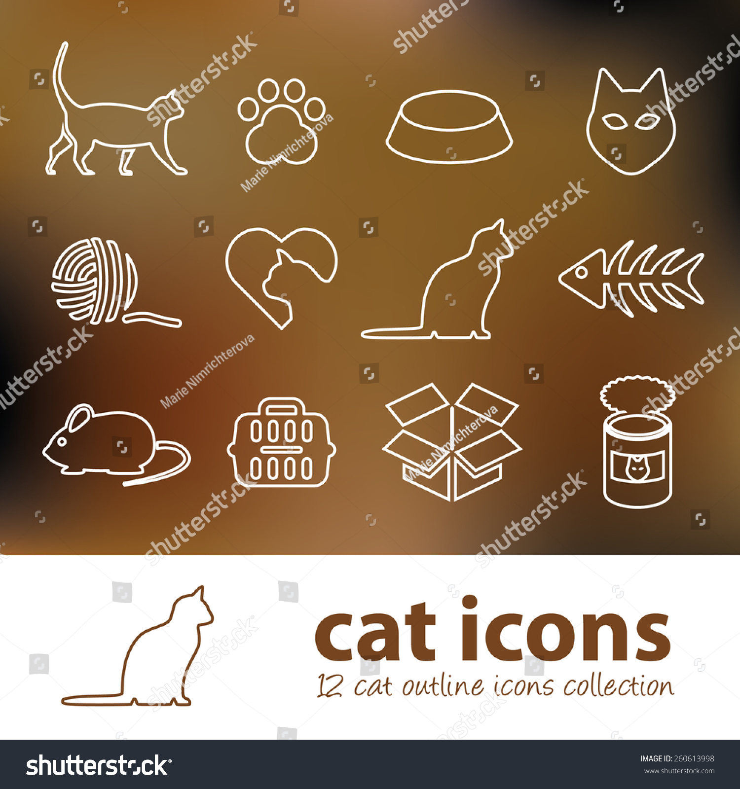 Cat Outline Icons Stock Vector (Royalty Free) 260613998