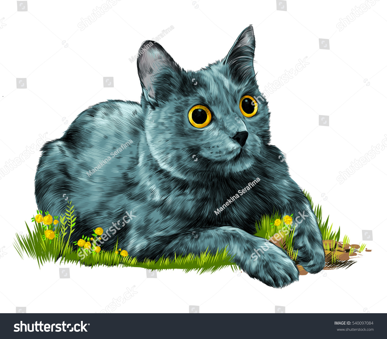 Cat Russian Blue Vector Stock Vector (Royalty Free) 540097084 ...