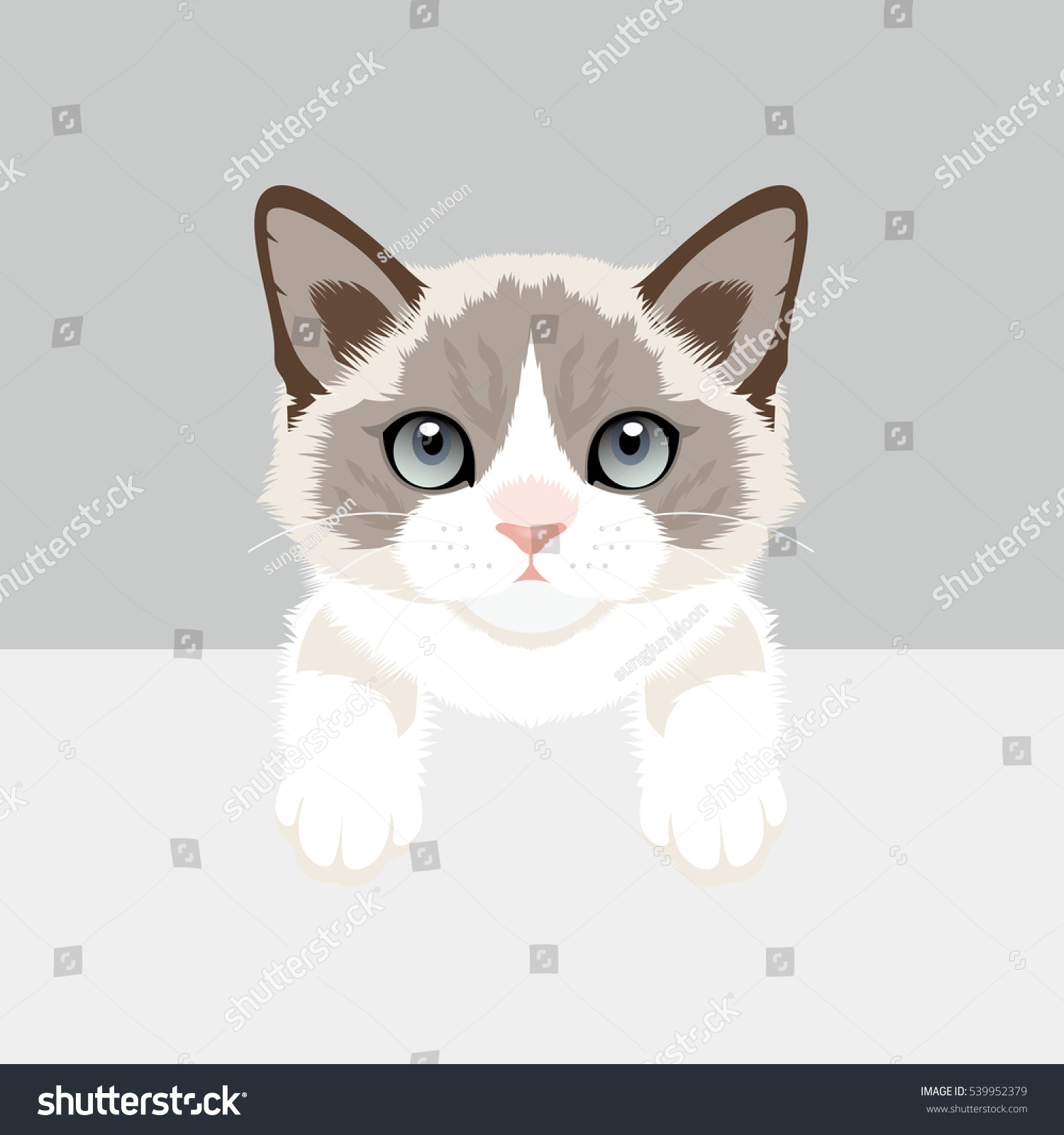 1,109 Ragdoll illustrate 图片、库存照片和矢量图 | Shutterstock