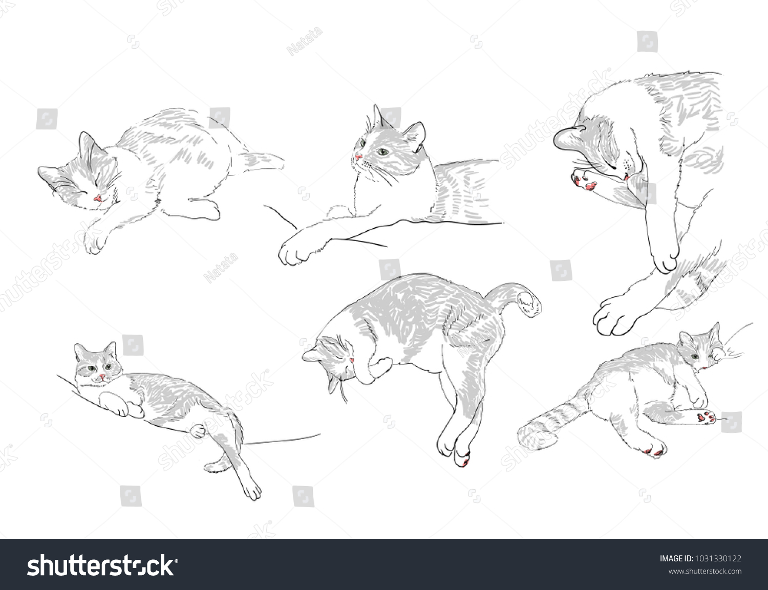 Cat Vector Sketch Illustration Set Stock Vector (Royalty Free) 1031330122