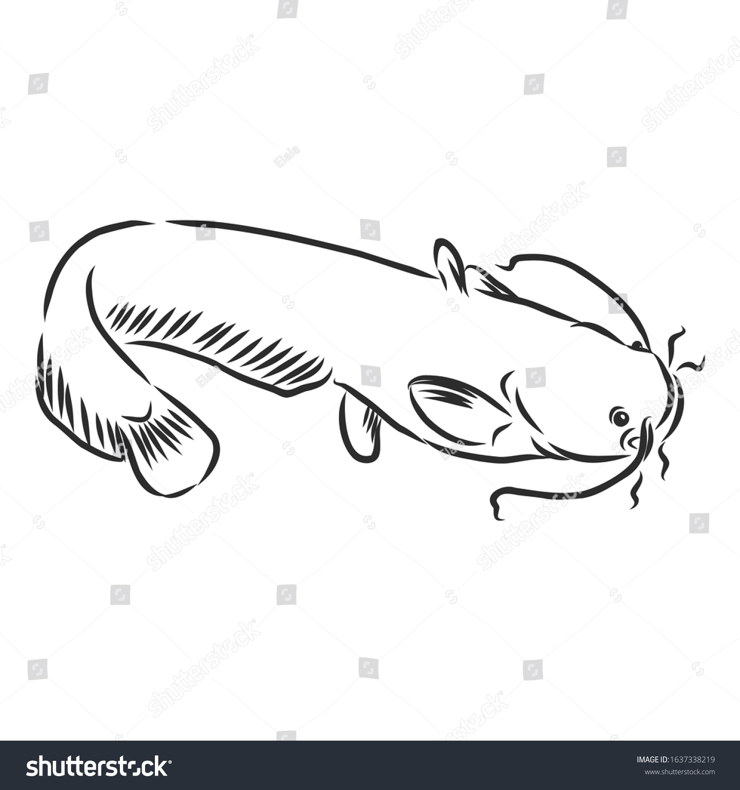 Catfish River Fish Vector Sketch Illustration: vector de stock (libre ...