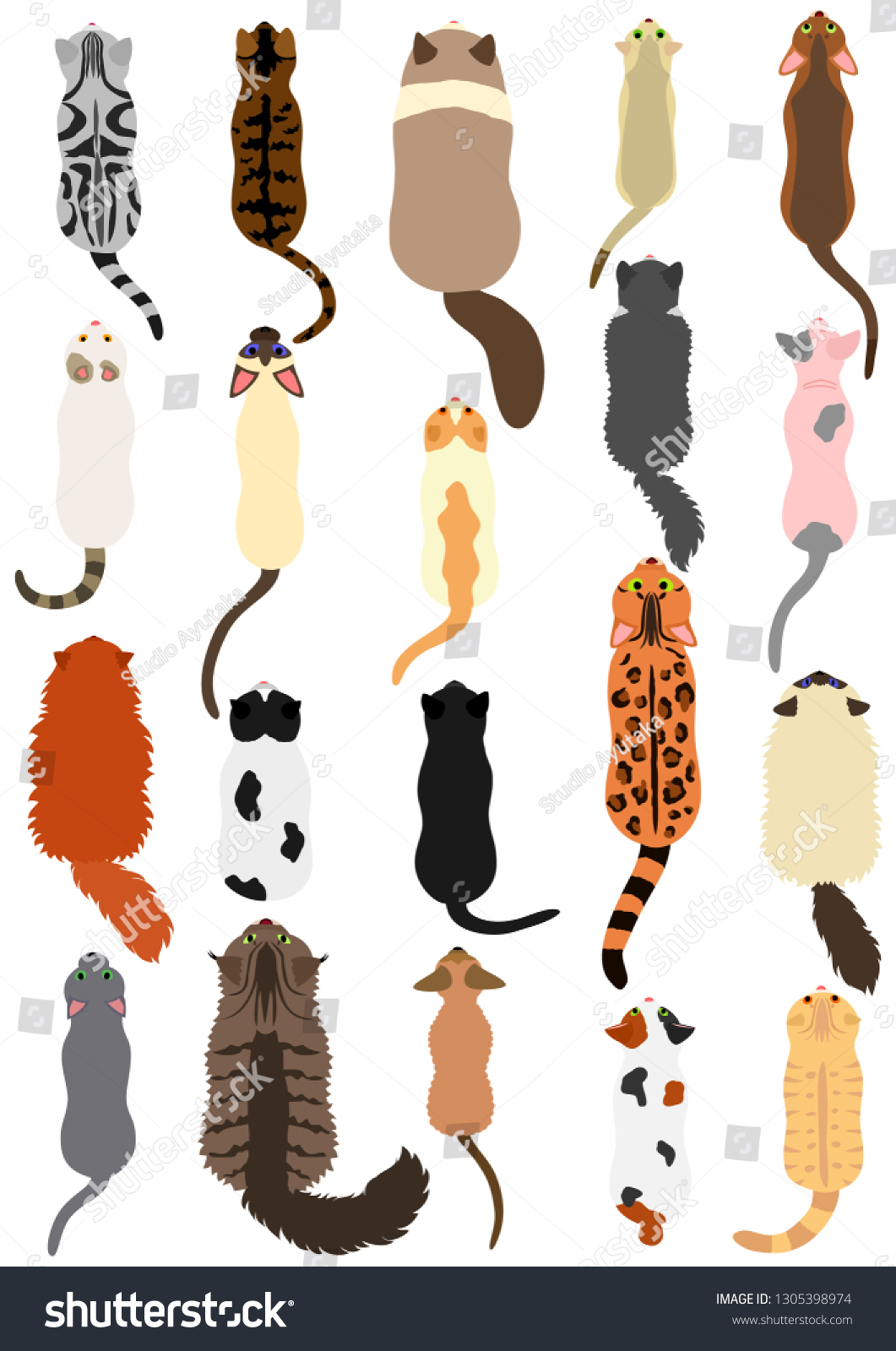 1.346 vetores de Cat top view Vetores, imagens e arte vetorial stock ...