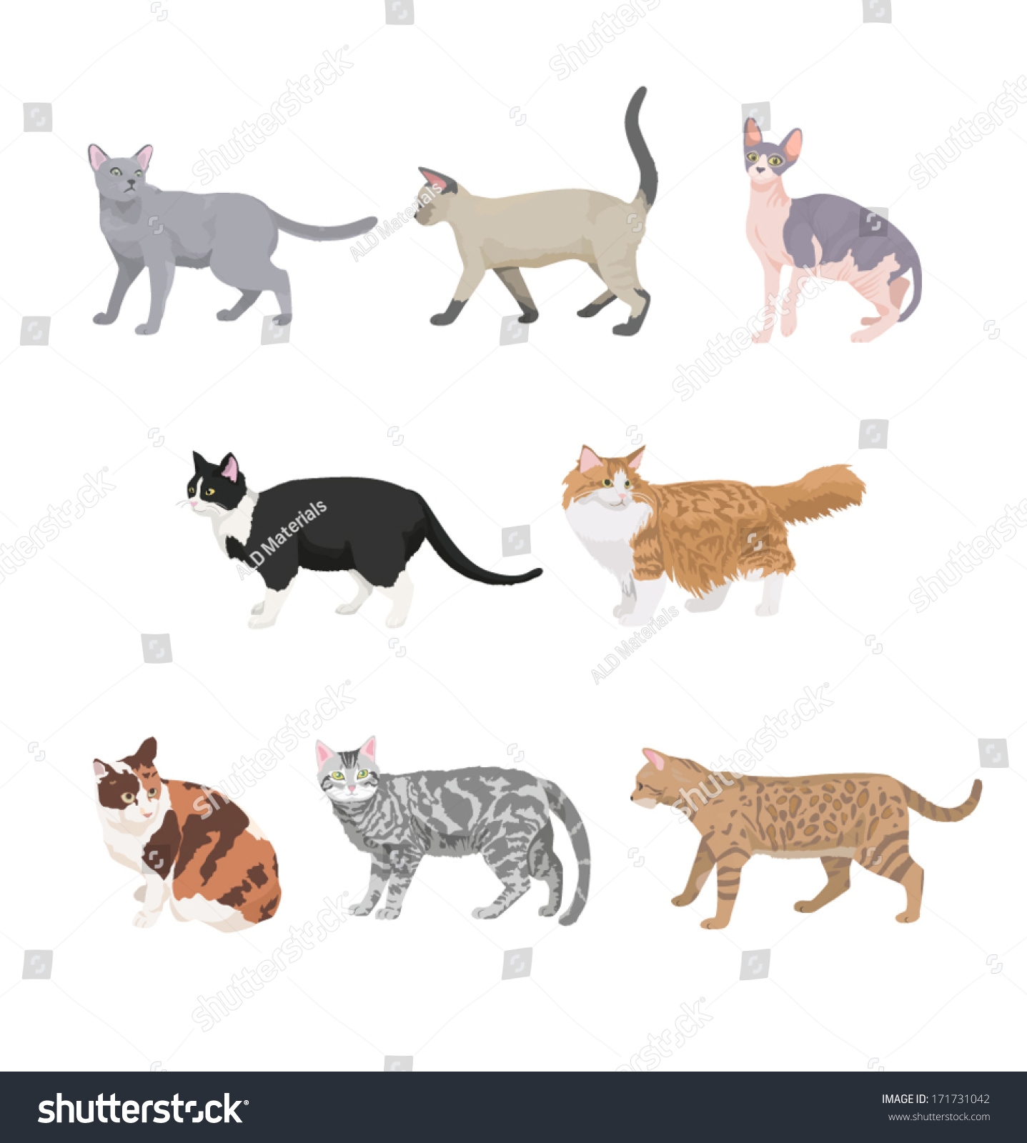 Cats Illustration Stock Vector (Royalty Free) 171731042 | Shutterstock