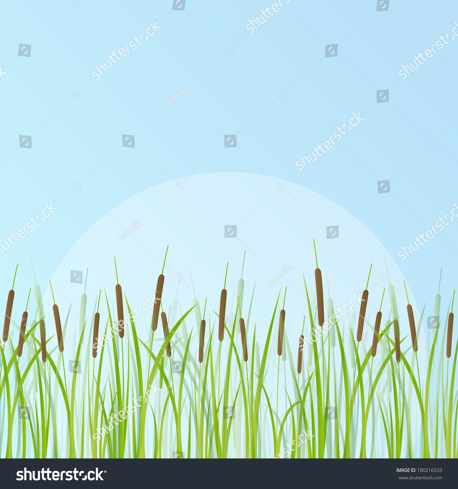 Cattail Detailed Illustration Background Vector Stock Vector (Royalty ...