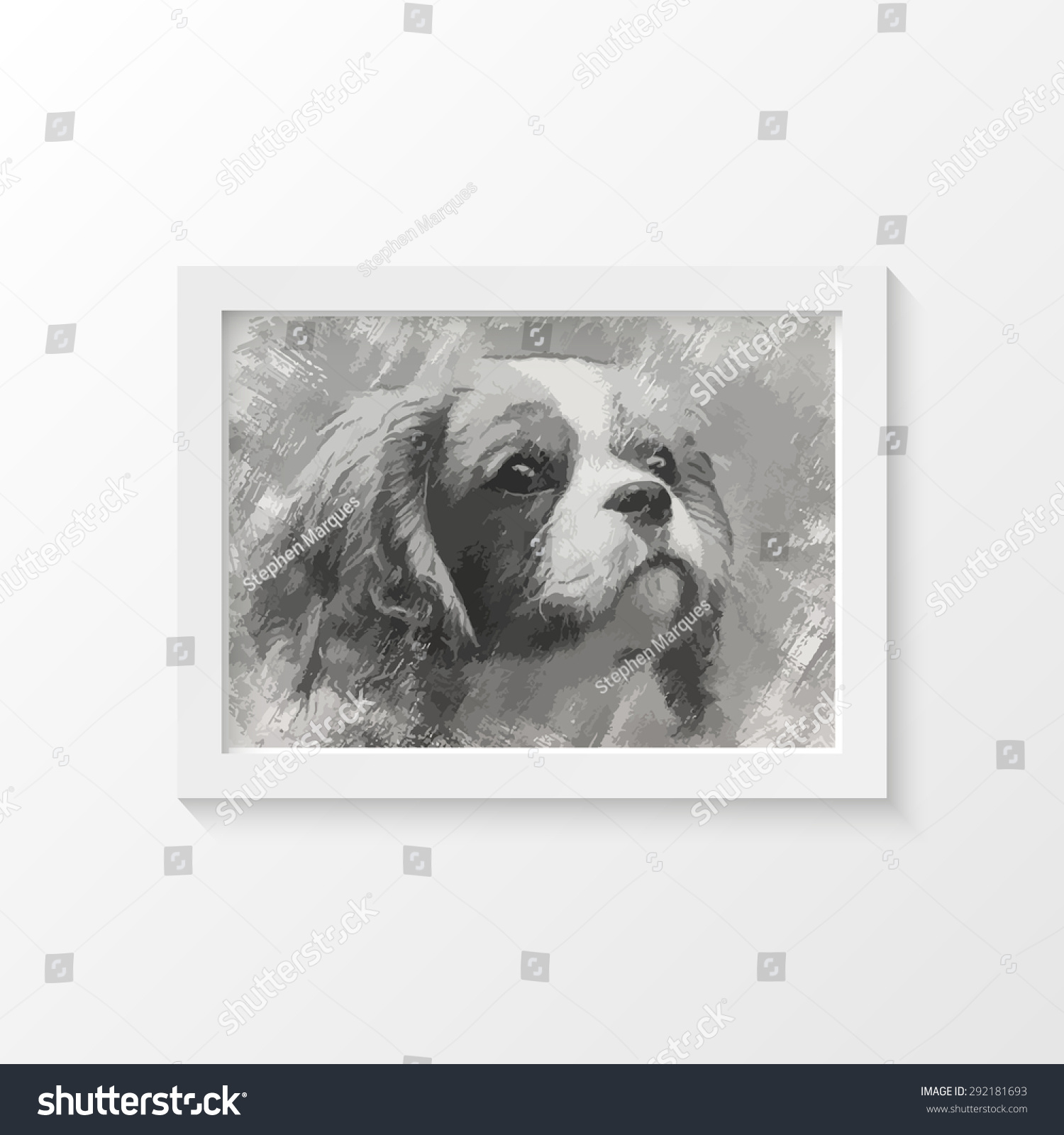 Cavalier King Charles Spaniel Vector Illustration Stock Vector (Royalty ...