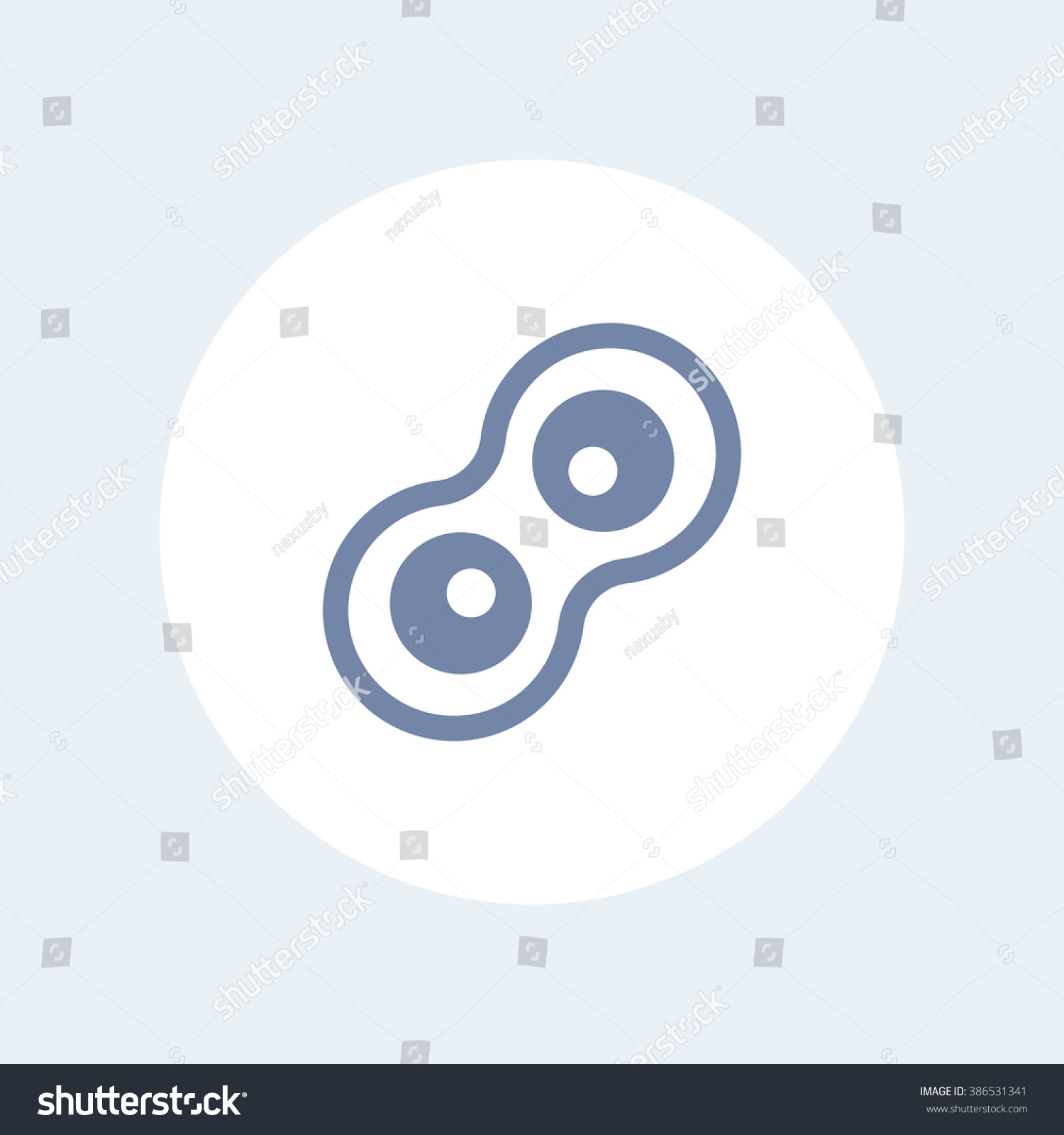 Cell Division Process Flat Icon, Cell Divides Into Two, Cell Isolated ...