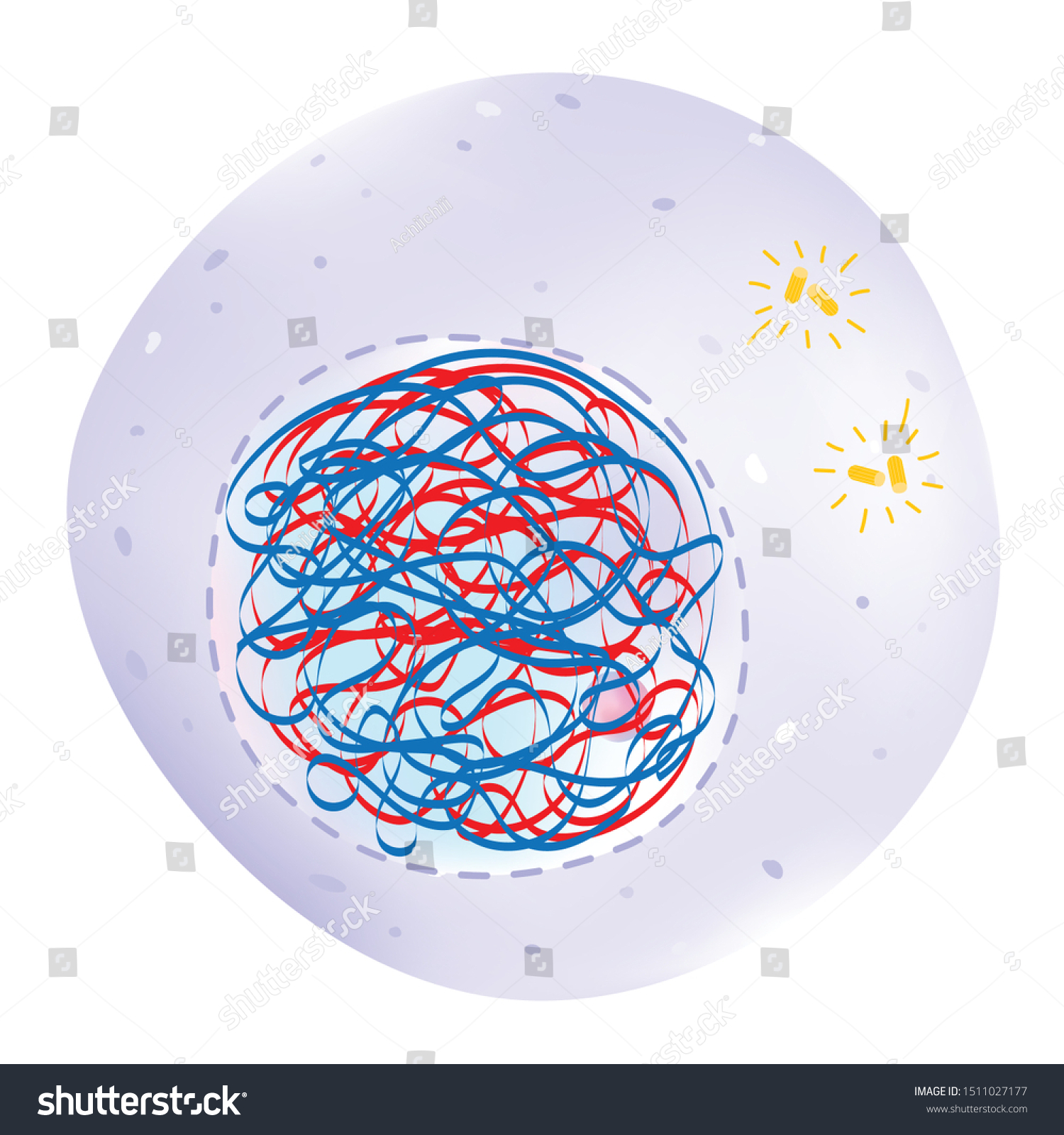Cell Growth Division Interphase Stock Vector (Royalty Free) 1511027177