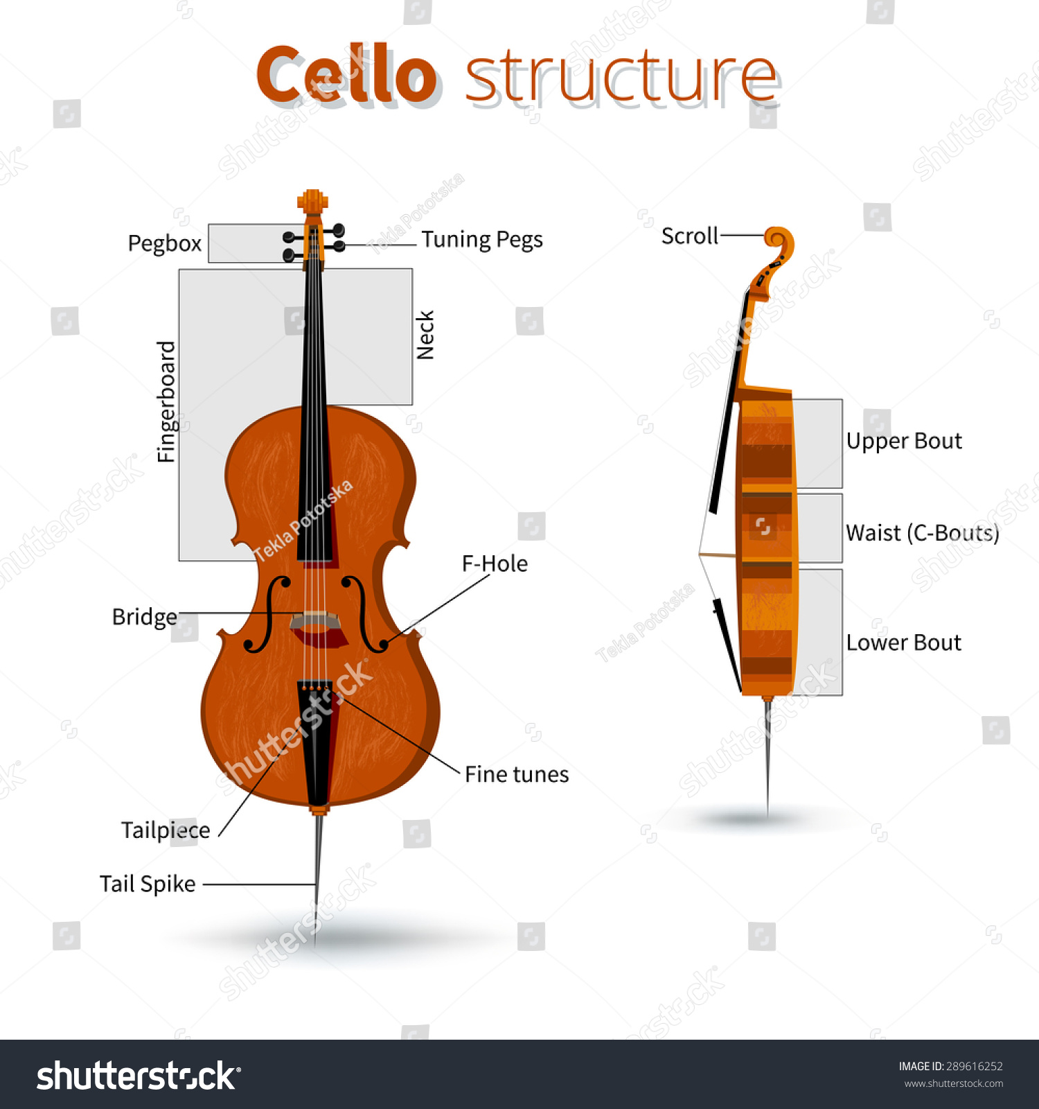 1,454 imágenes de Cello parts - Imágenes, fotos y vectores de stock ...