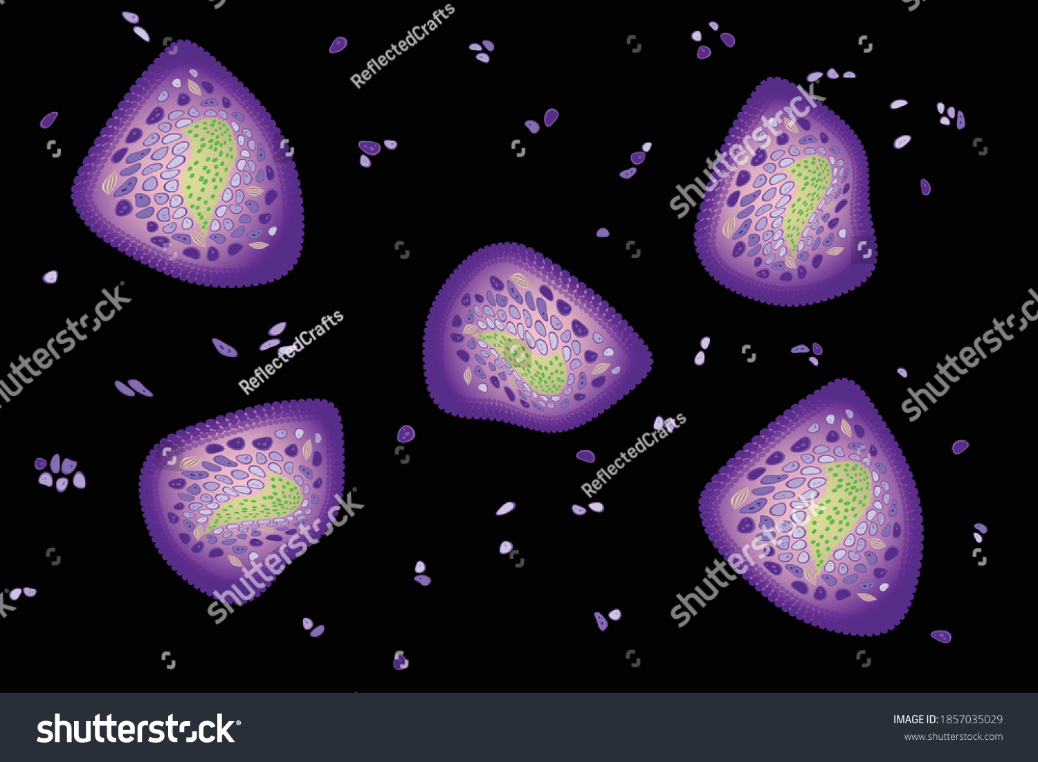 Cells Unicellular Organisms Vector Pattern Stock Vector (Royalty Free ...
