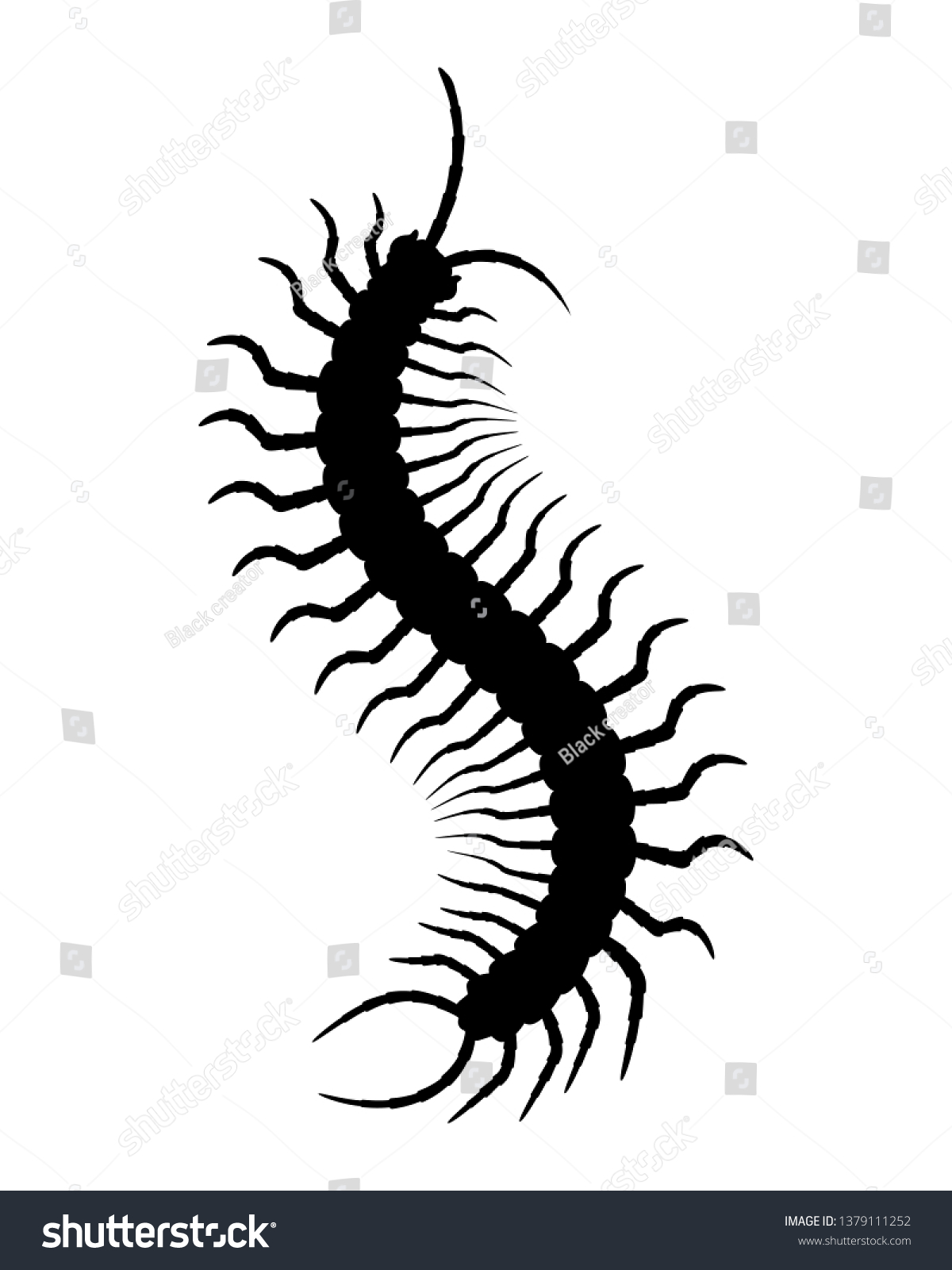 Centipede Silhouette Vector: vector de stock (libre de regalías ...