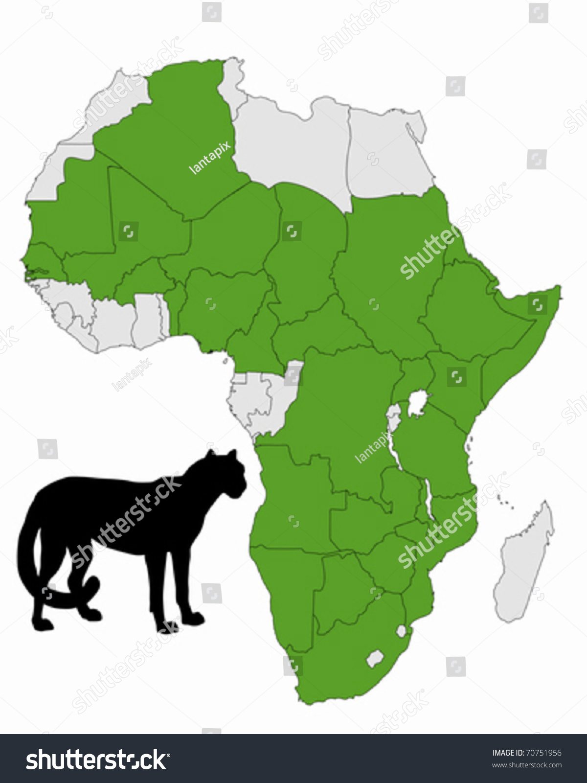 Cheetah Distribution Africa Stock Vector (Royalty Free) 70751956 ...