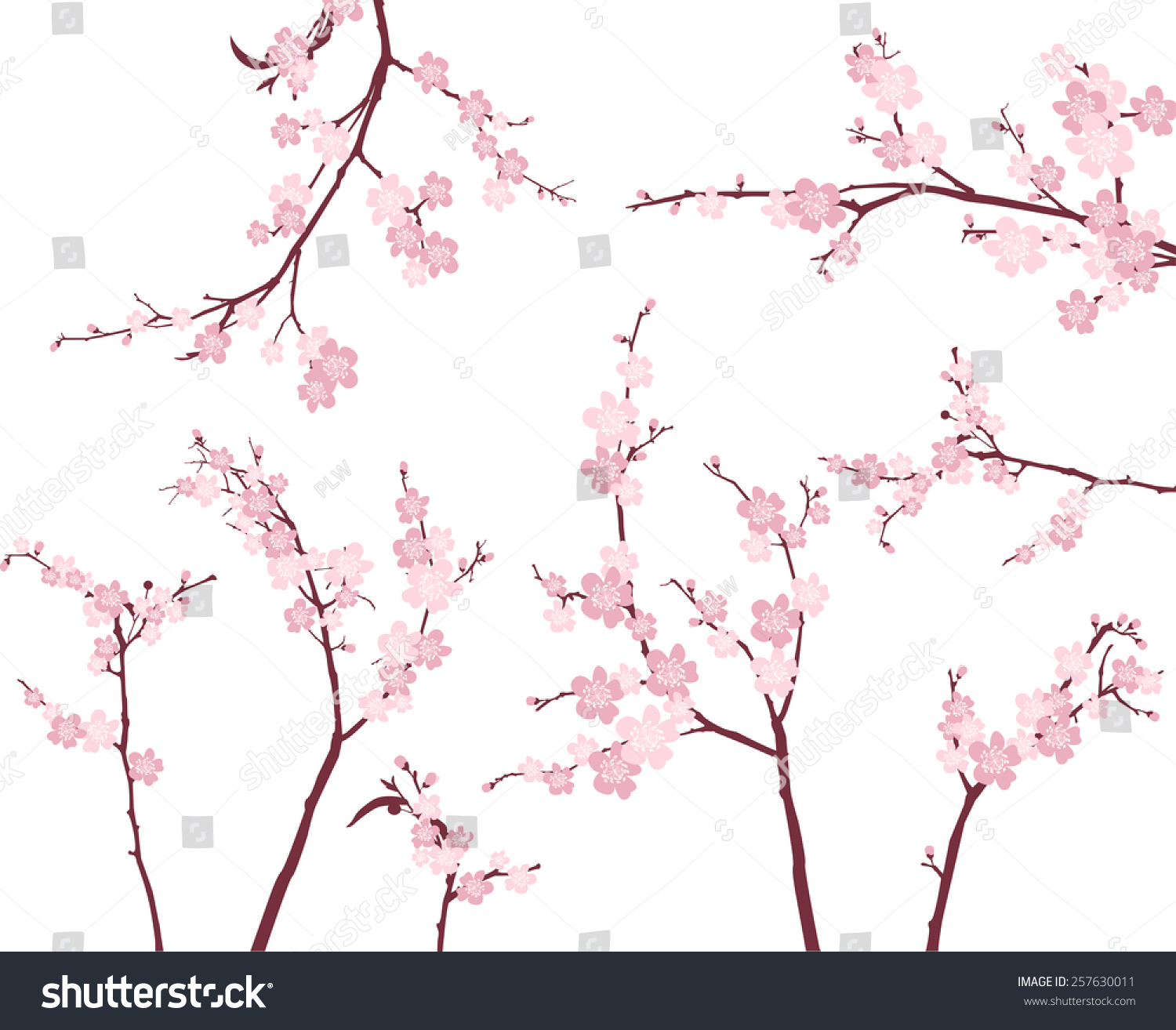 Cherry Blossom Branches Stock Vector (Royalty Free) 257630011