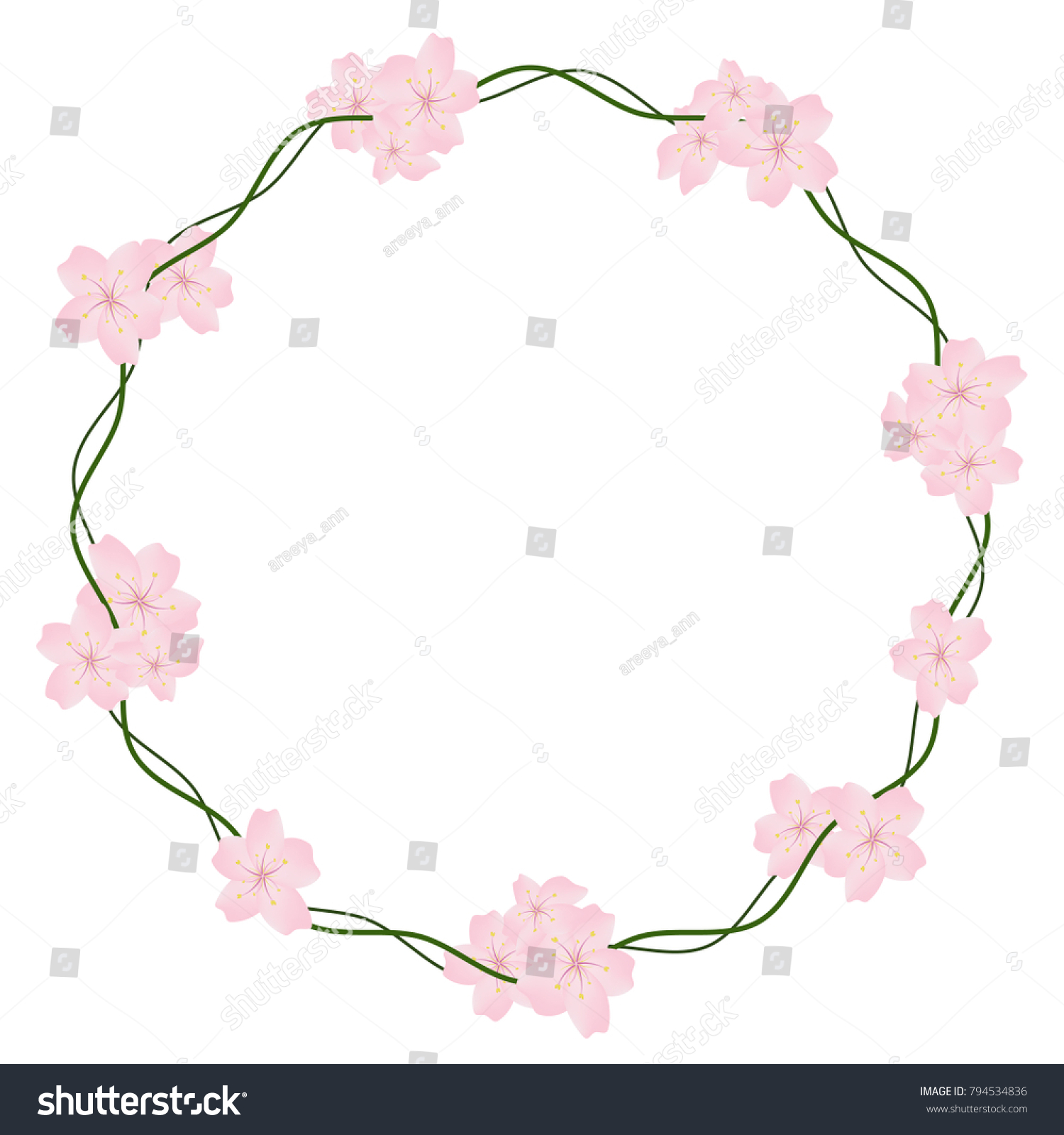 Cherry Blossom Circle Frame On White Stock Vector (Royalty Free) 794534836