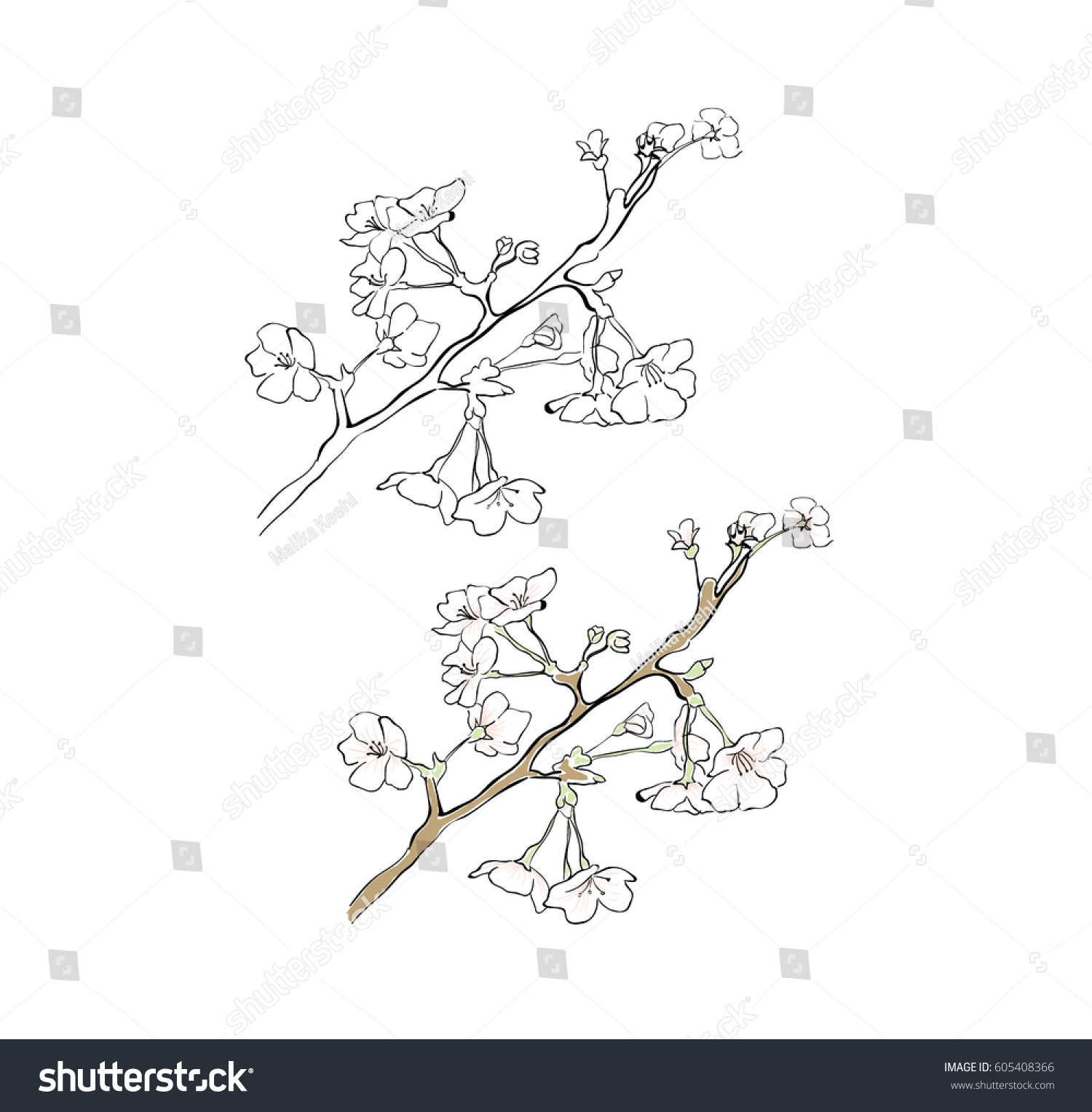 Cherry Blossom Tree Branch Vector Sketch Stock Vector (Royalty Free ...