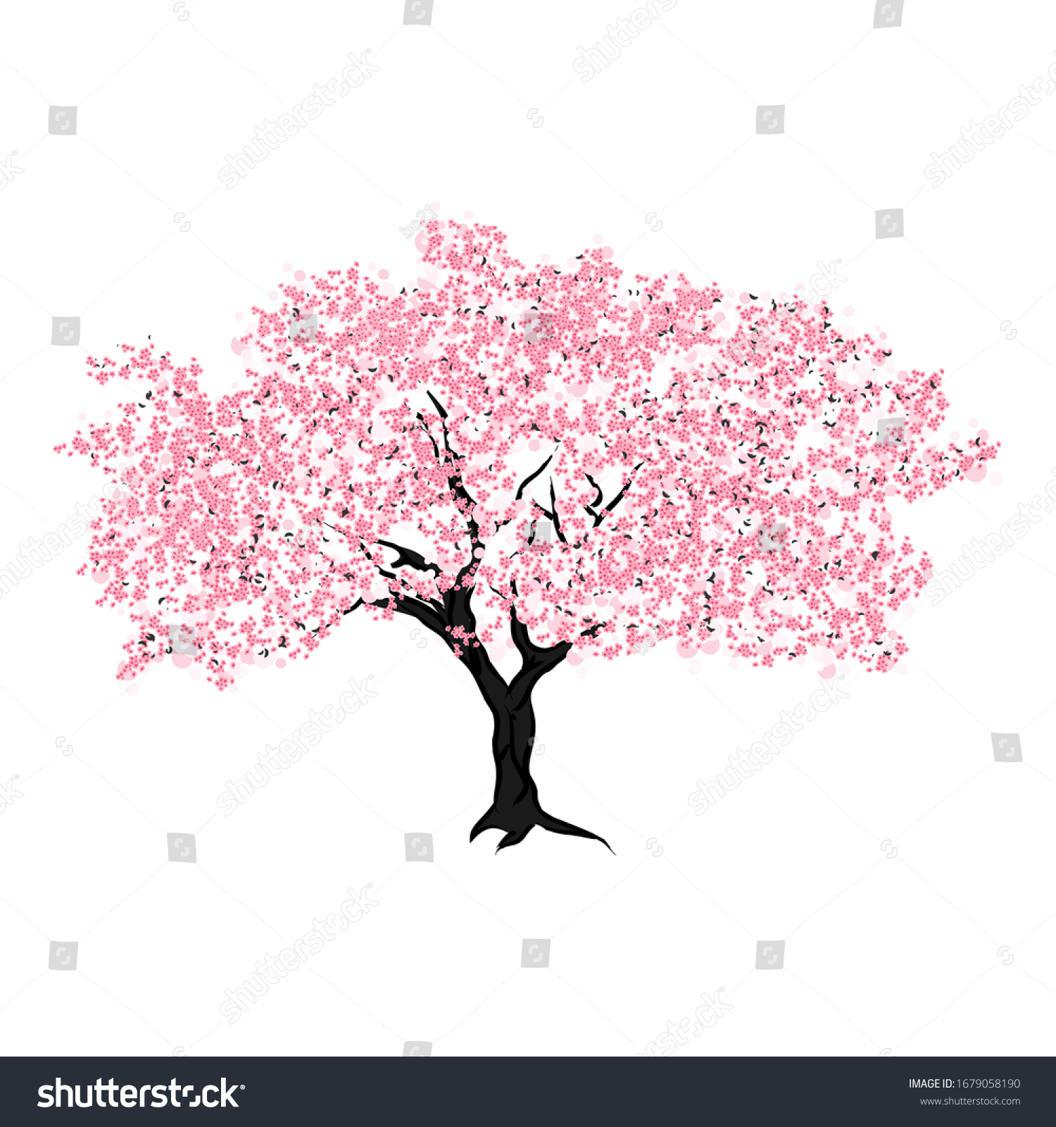 Cherry Blossom Tree Vector Illustration Stock Vector (Royalty Free ...