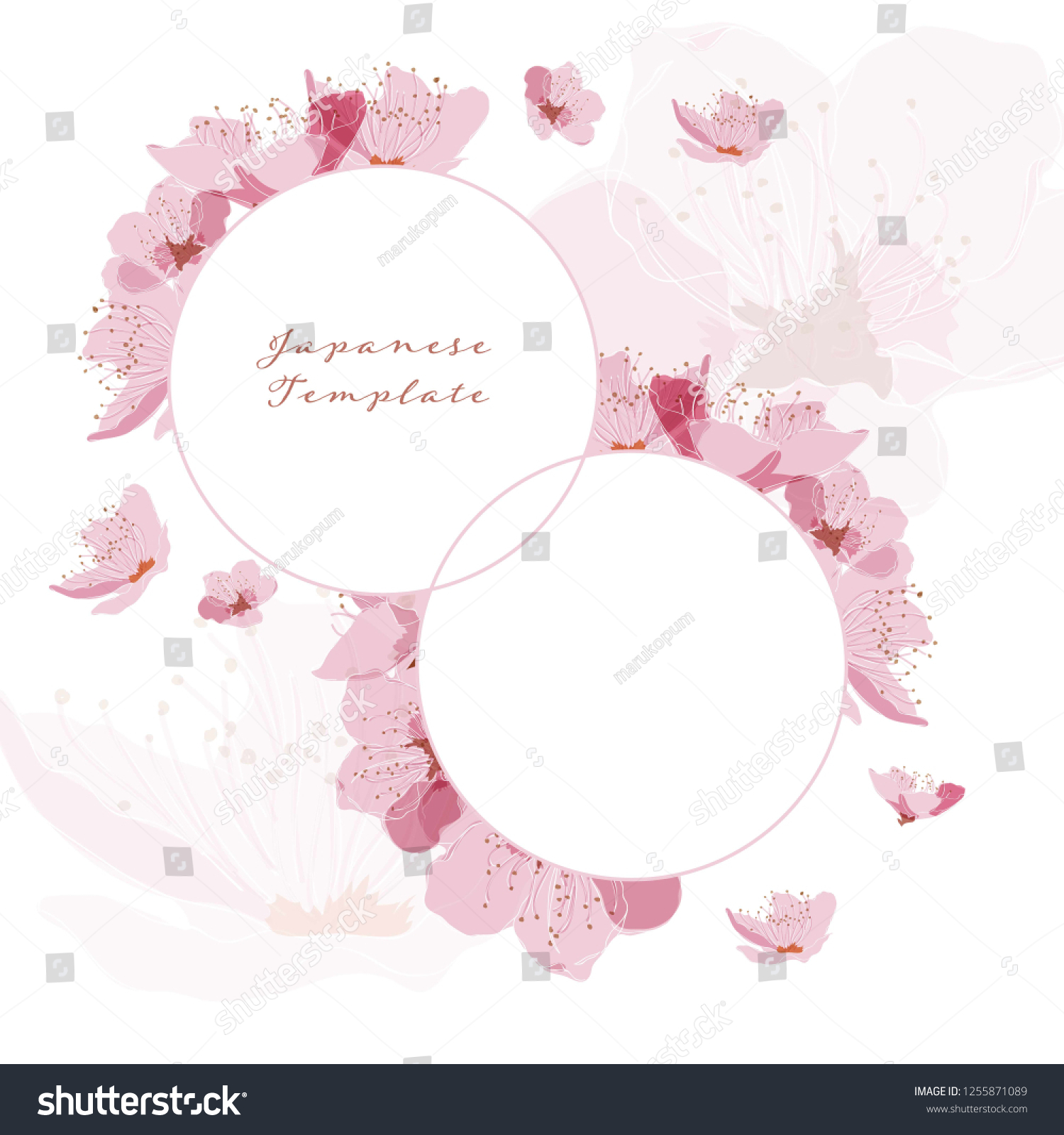 Cherry Blossom Vector Pink Flower Template Stock Vector (Royalty Free ...
