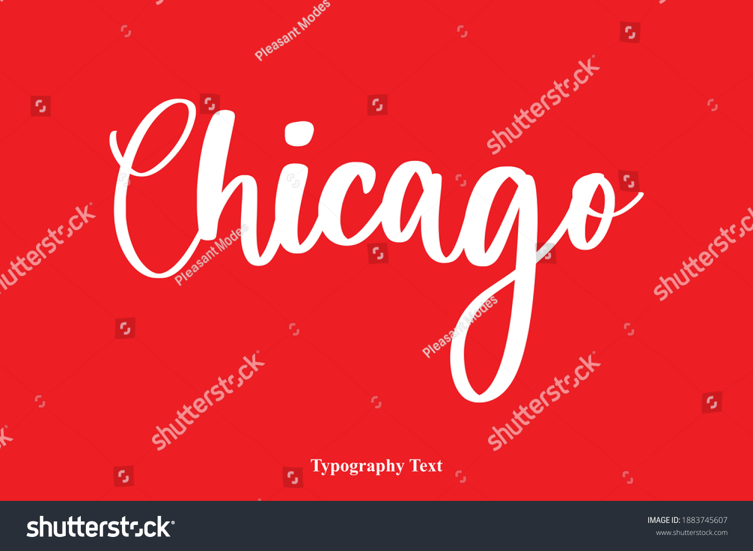 Chicago Typeface Cursive Calligraphy Text On Stock Vector (Royalty Free ...