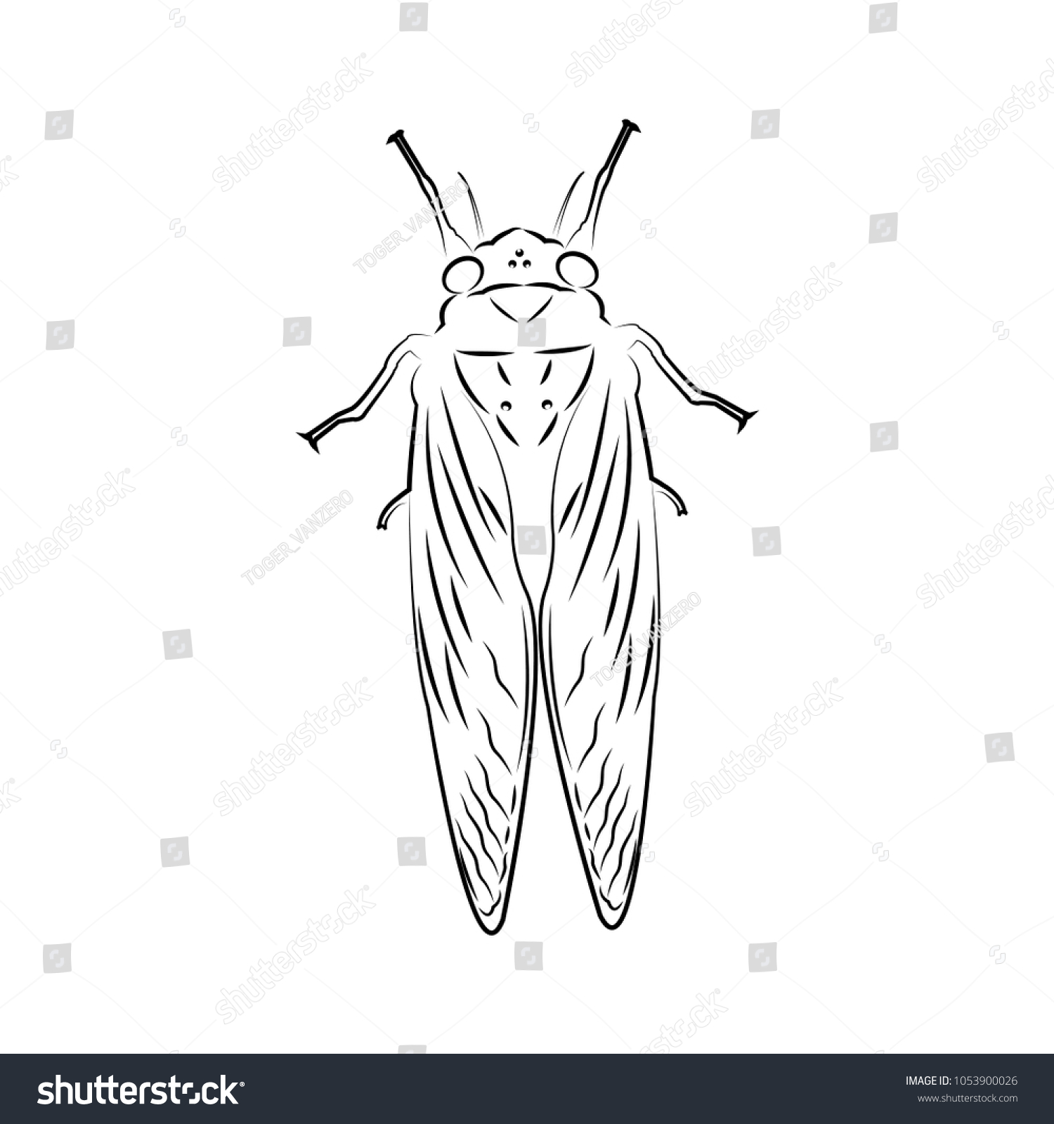Cicadas Graphic Design Template: vector de stock (libre de regalías ...