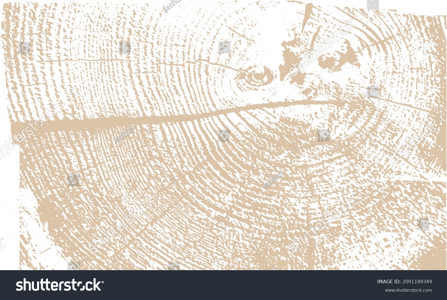 Circular Wood Grain Texture Vector Illustration Stock Vector (Royalty ...