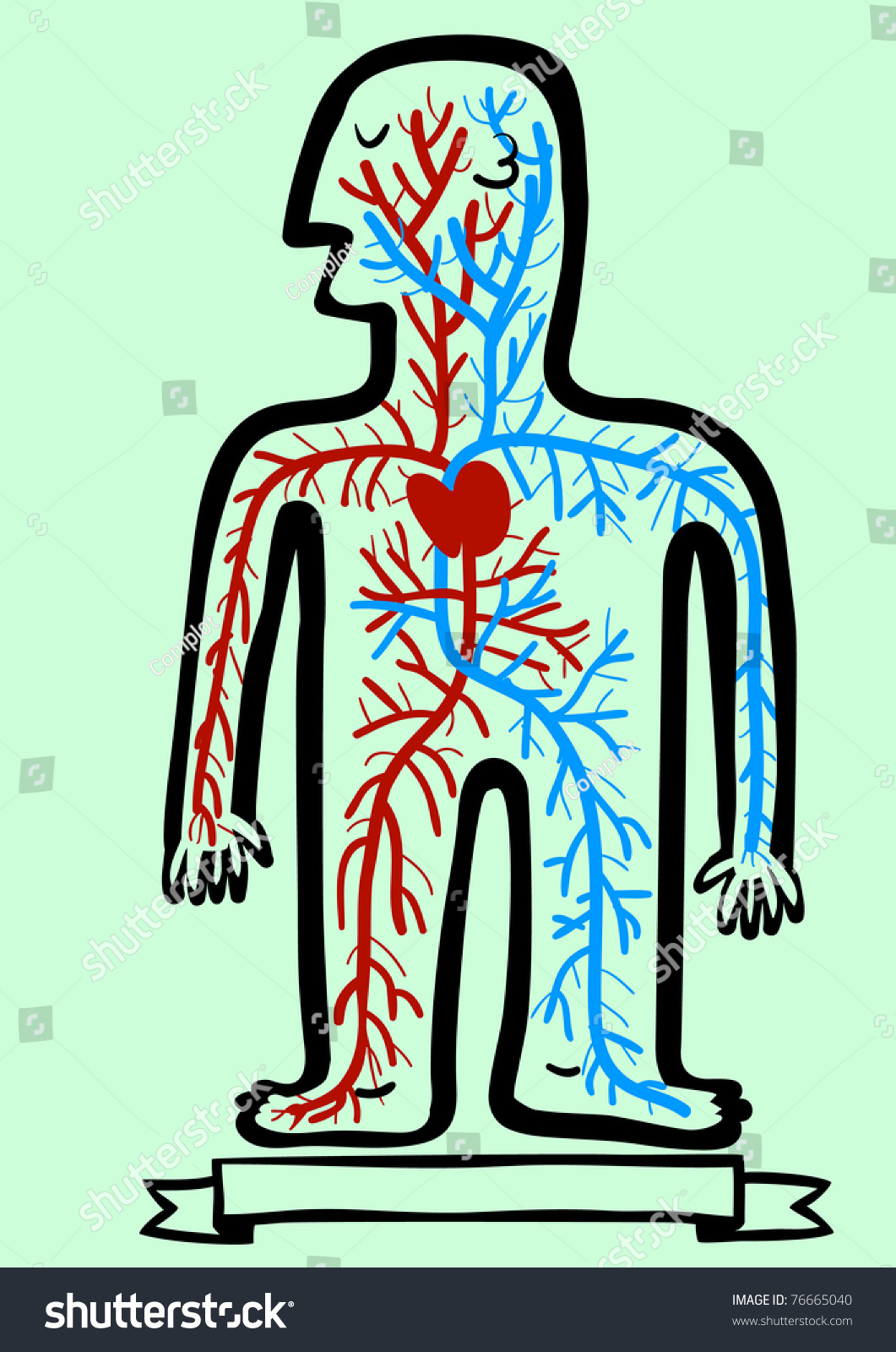 Circulatory System Man Stock Vector Illustration 76665040 : Shutterstock