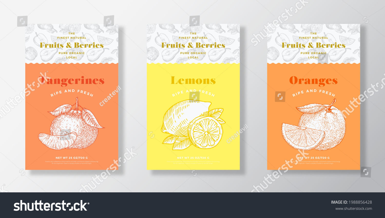 Citrus Fruits Pattern Label Templates Set Stock Vector (Royalty Free ...