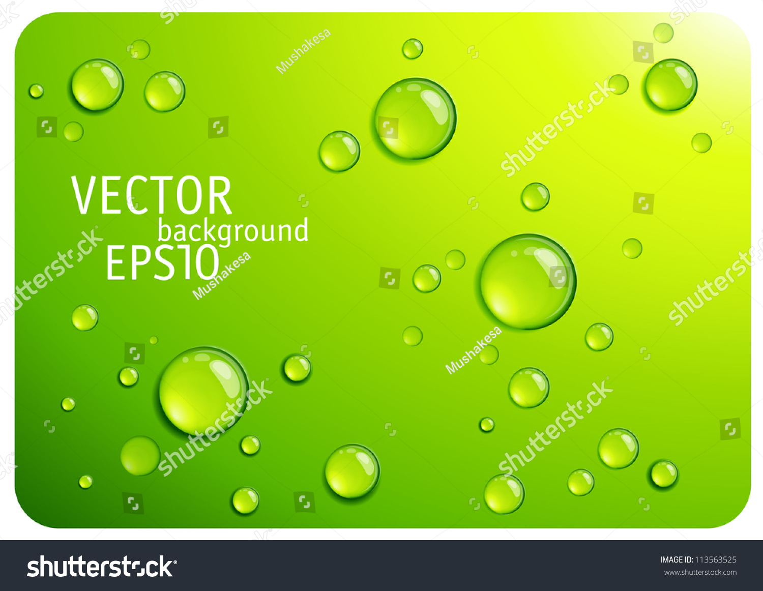 Clear Green Water Drops Vector Background Stock Vector (Royalty Free ...
