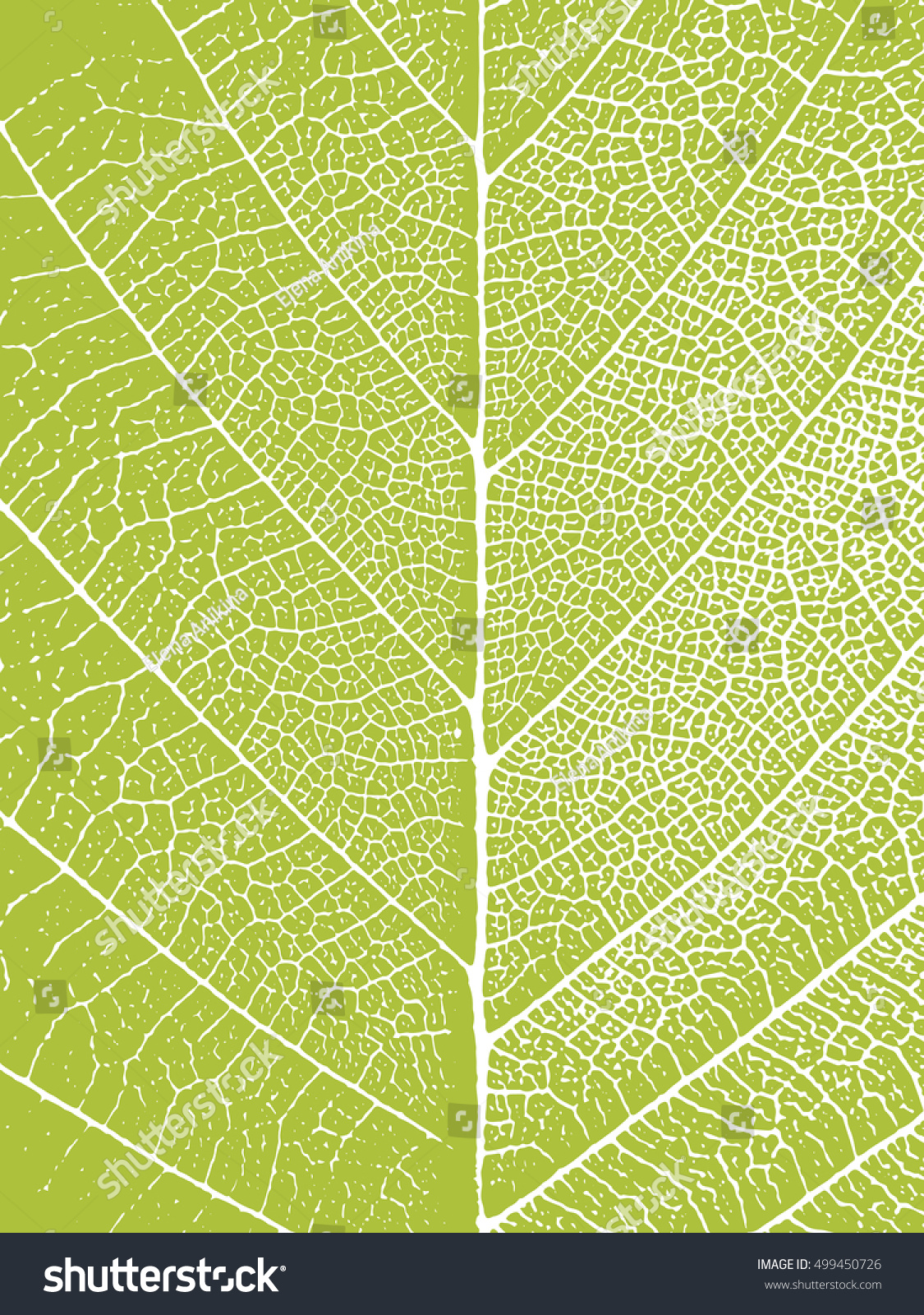 Closeup Green Leaf Closeup Texture Nature Stock Vector (Royalty Free ...