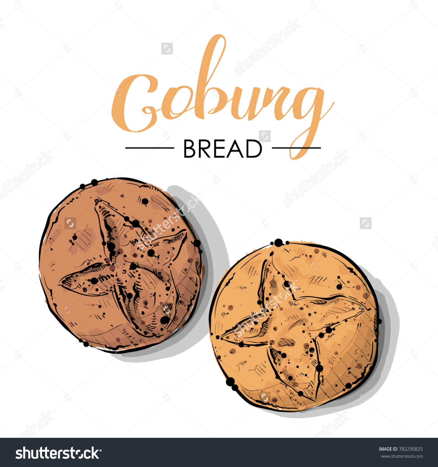 Coburg Bread Drawing Sketch Style Vector Stock Vector (Royalty Free ...