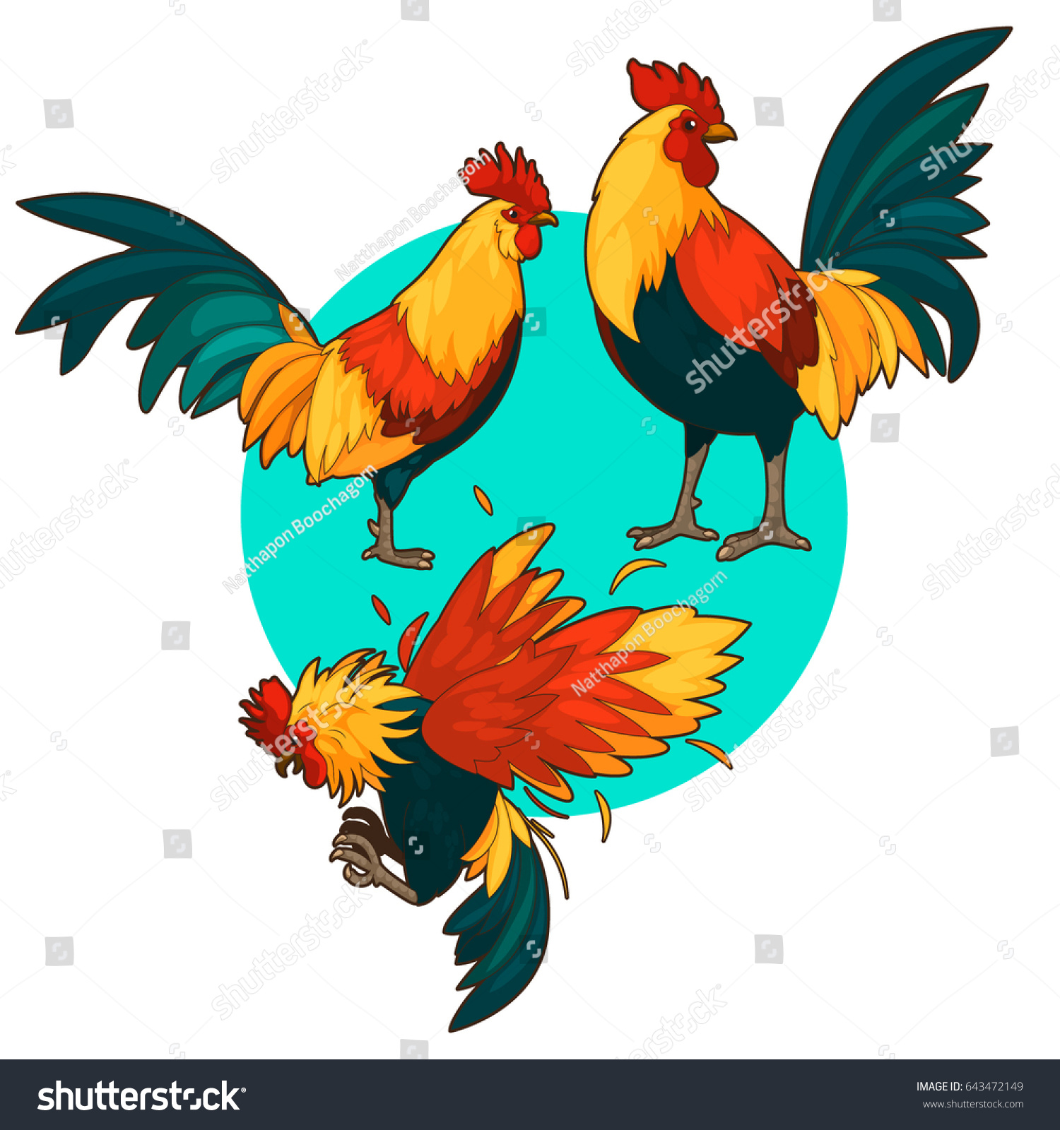 Cockfight Set: เวกเตอร์สต็อก (ปลอดค่าลิขสิทธิ์) 643472149 | Shutterstock