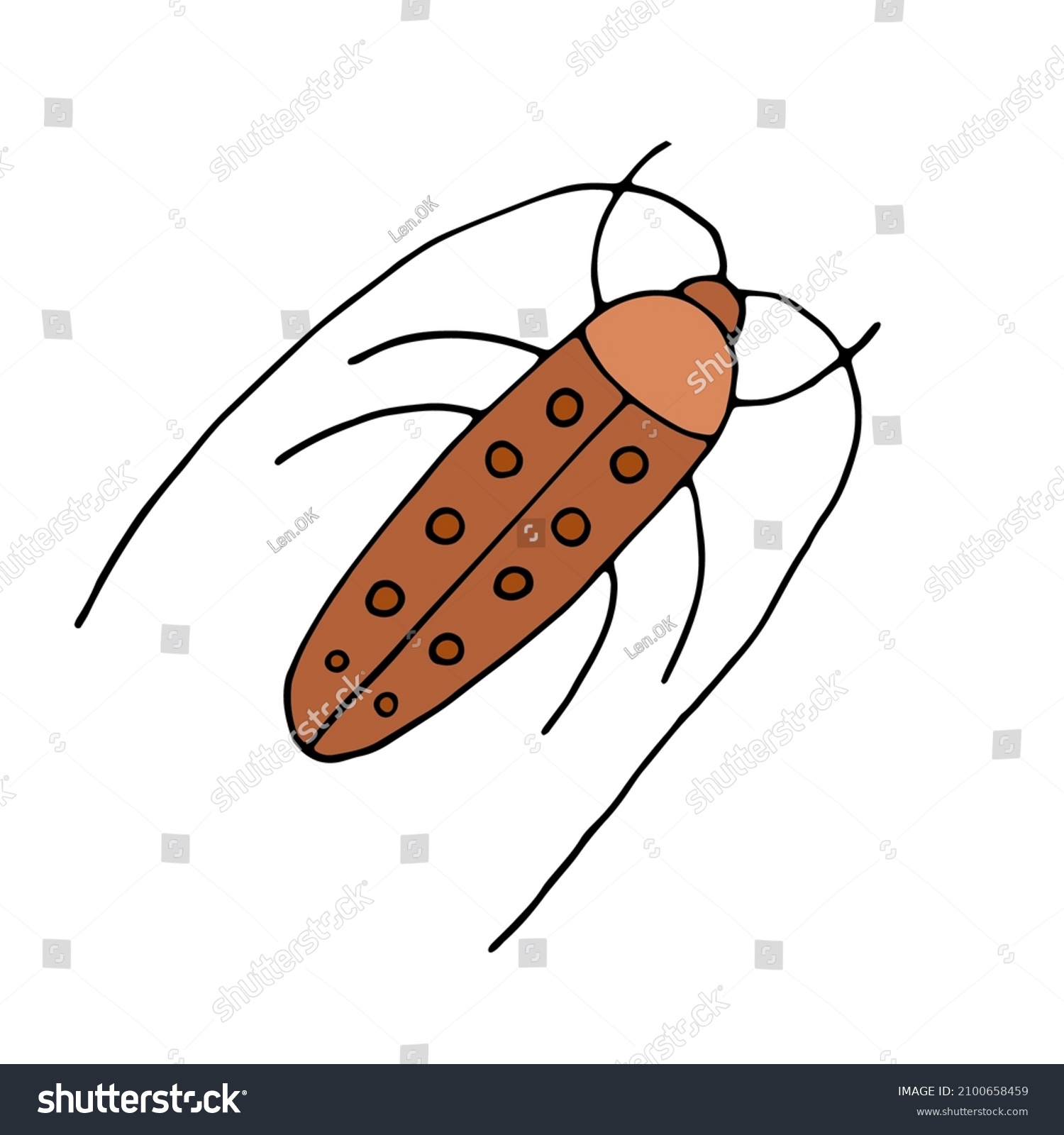 Cockroach Beetle Insect Doodle Vector Drawn Stock Vector (Royalty Free ...