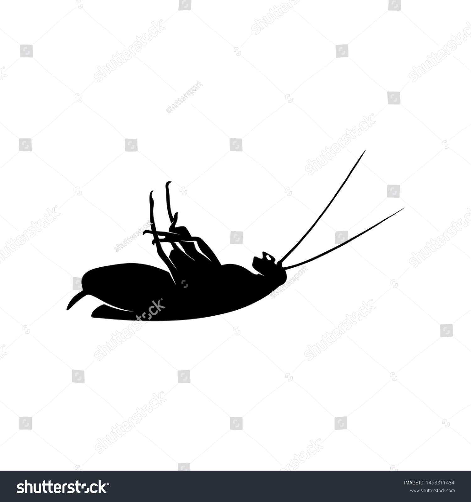 Cockroach Logo Design Vector Illustration Cockroach Stock Vector ...
