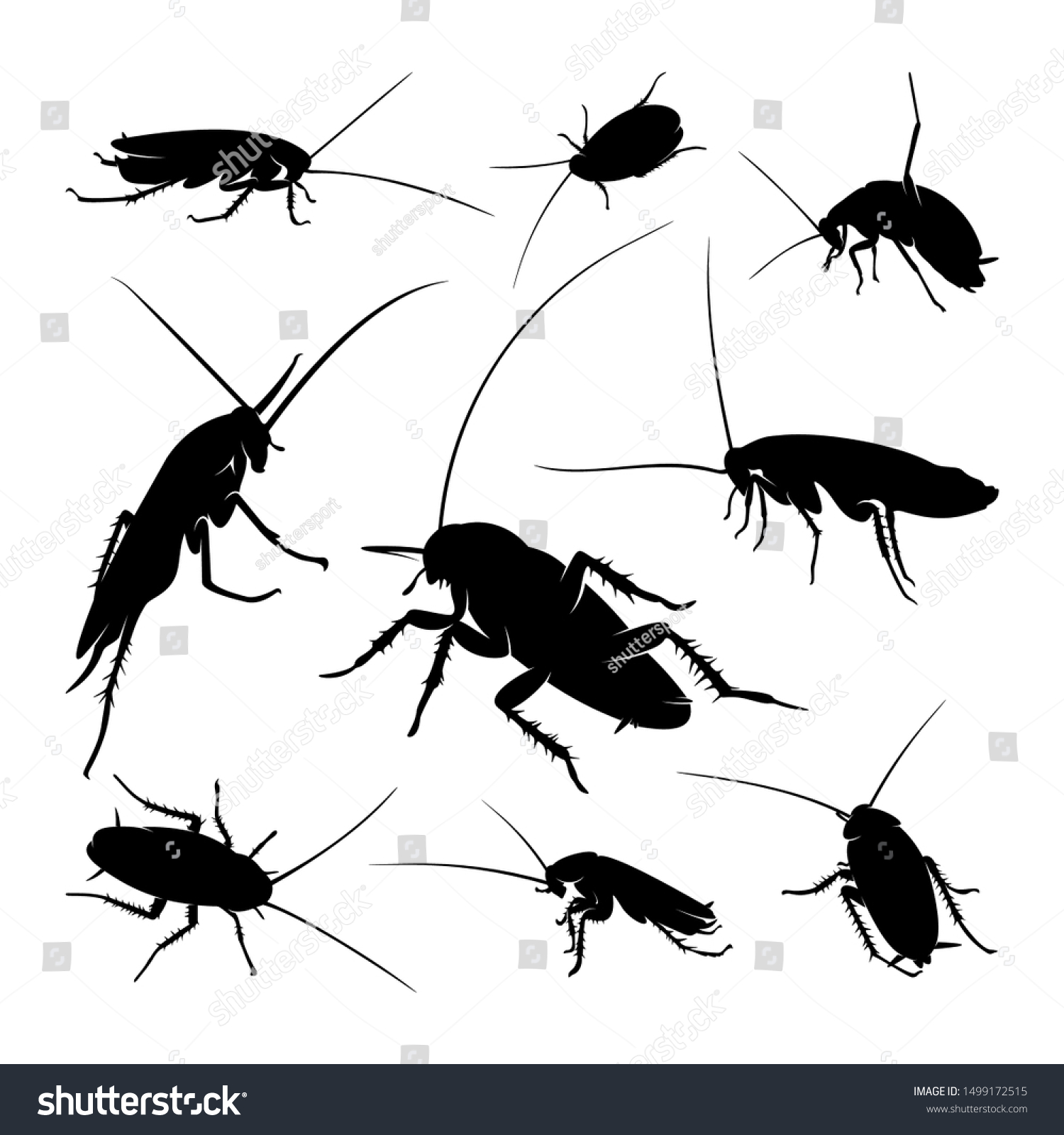 Cockroach Logo Design Vector Illustration Cockroach Stock Vector ...