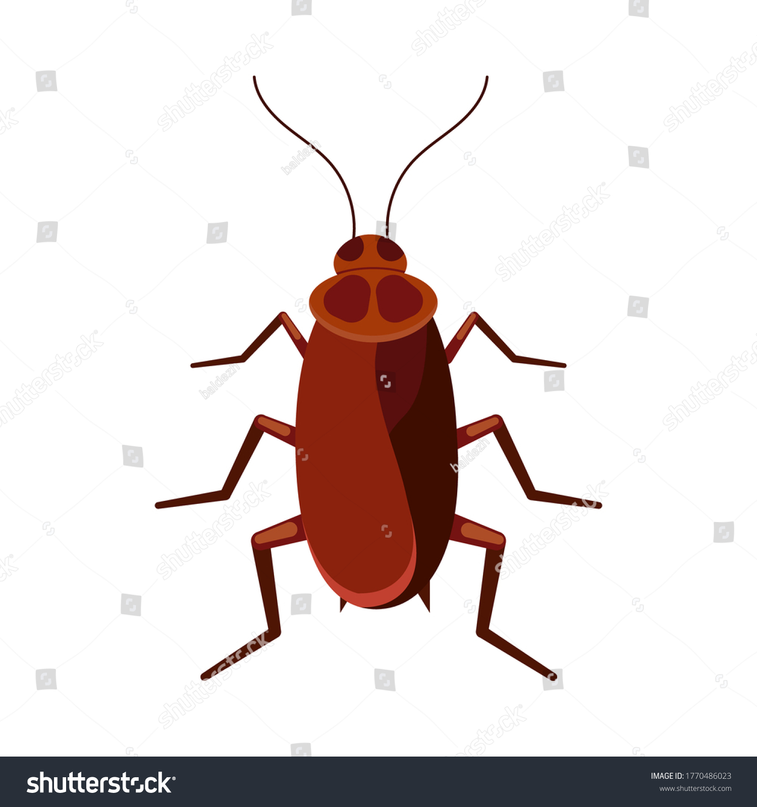 Cockroach Vector Icon Isolated On White Stock Vector (Royalty Free ...