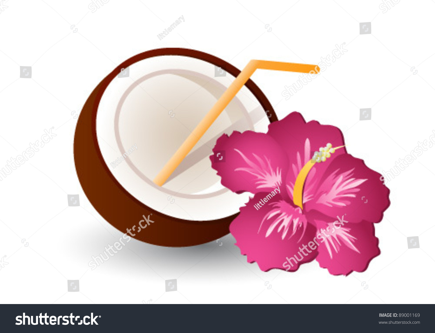 Coco Flower Stock Vector (Royalty Free) 89001169 | Shutterstock