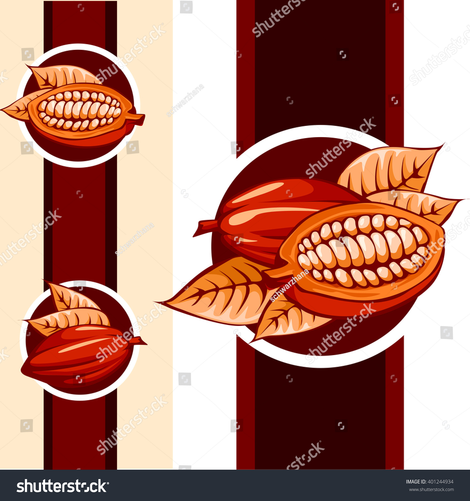 Cocoa Bean Design Vector Illustration Stock Vector (Royalty Free ...