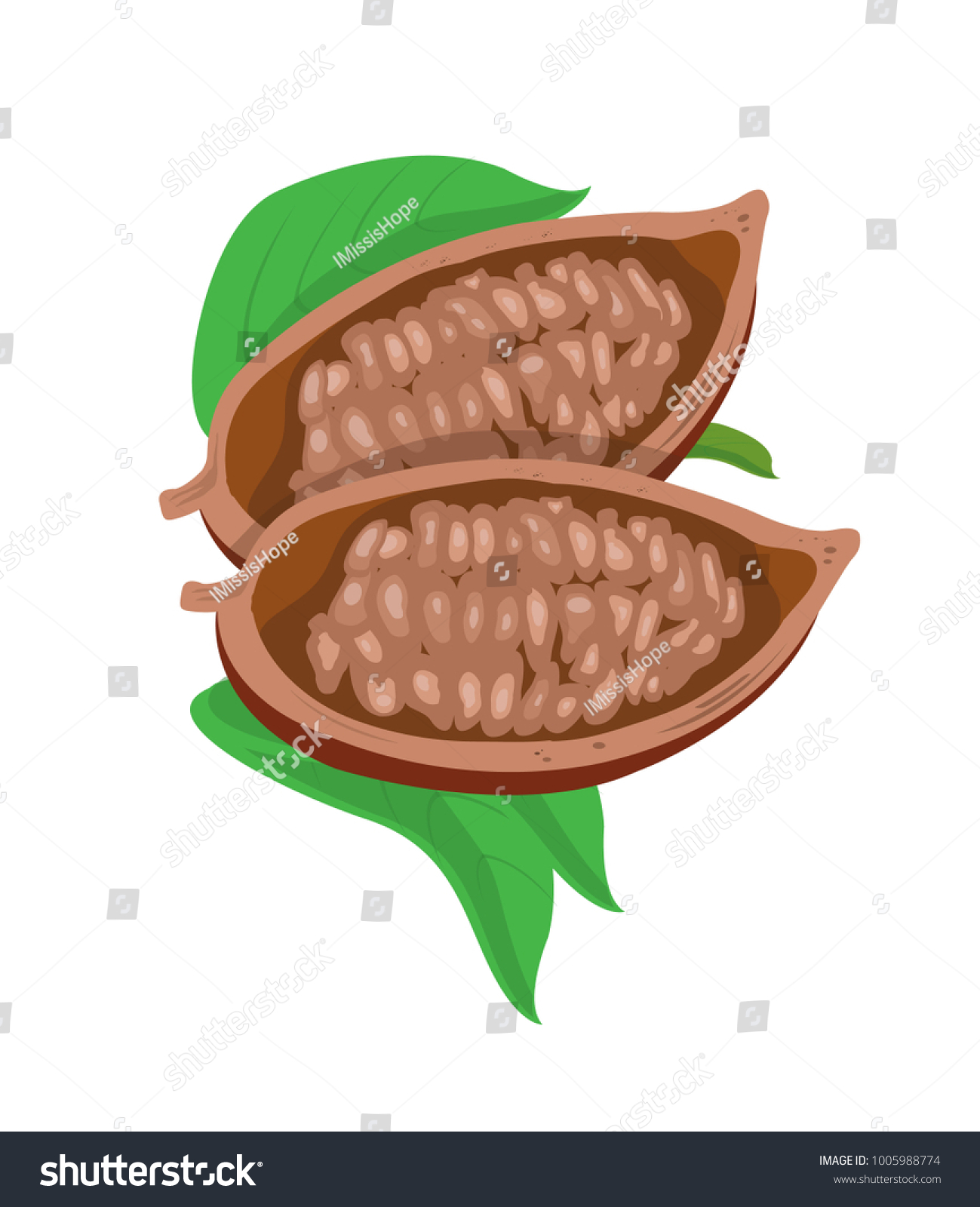 Cocoa Beans Vector Stock Vector (Royalty Free) 1005988774 | Shutterstock