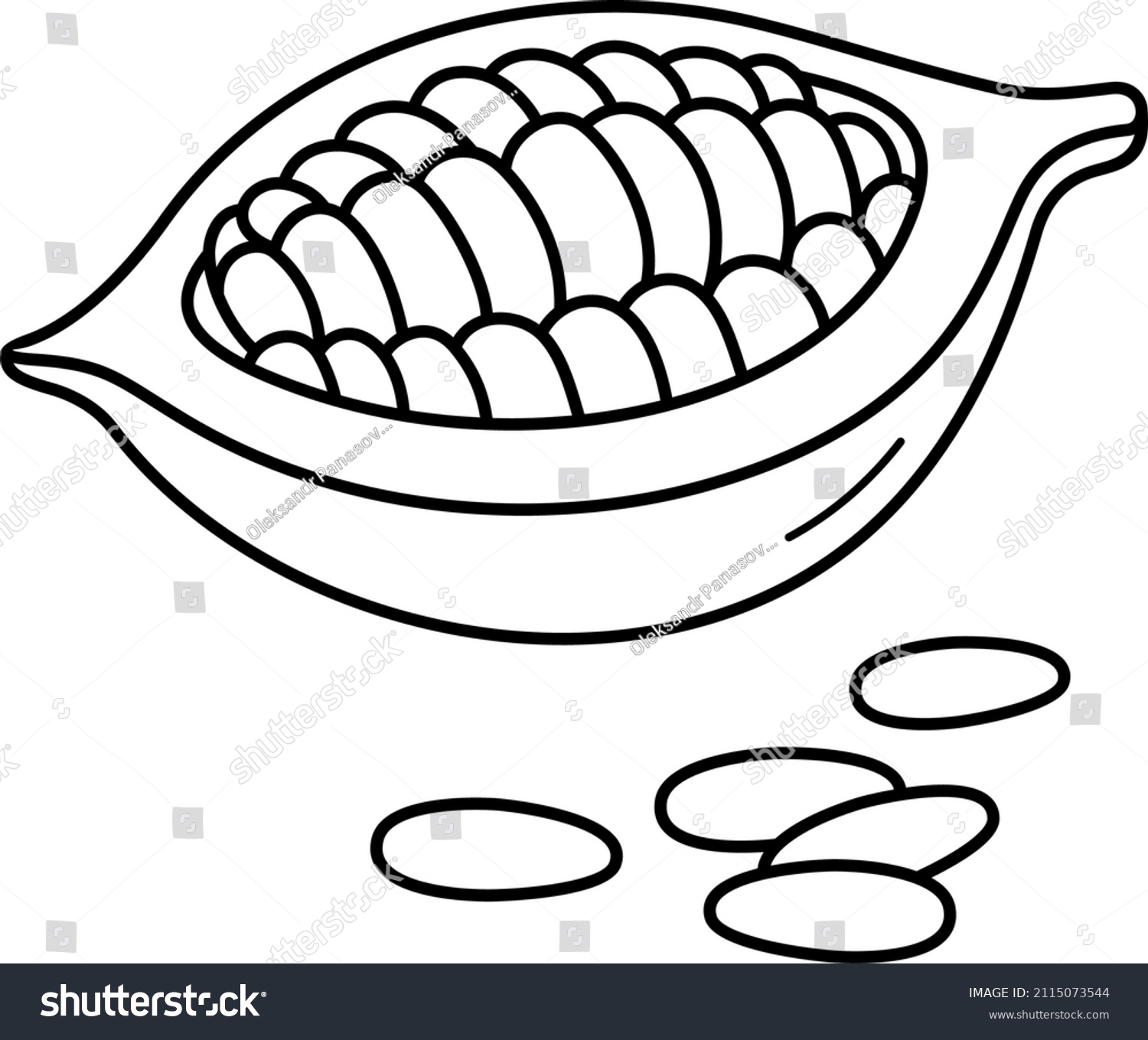 Cocoa Pods Vector Outline Illustration Stock Vector (Royalty Free ...
