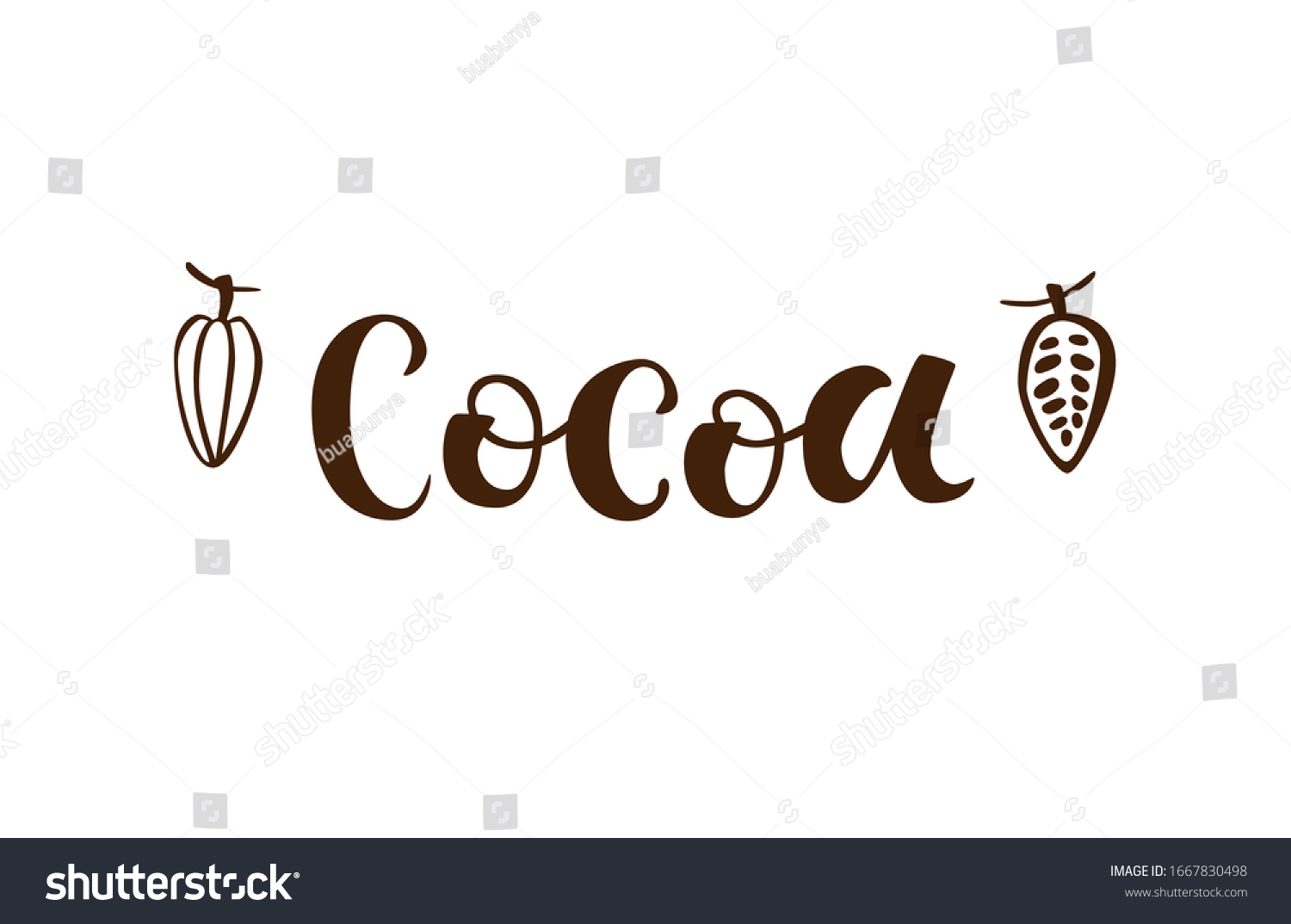 Cocoa Vector Text Hand Drawn Lettering Stock Vector (Royalty Free ...