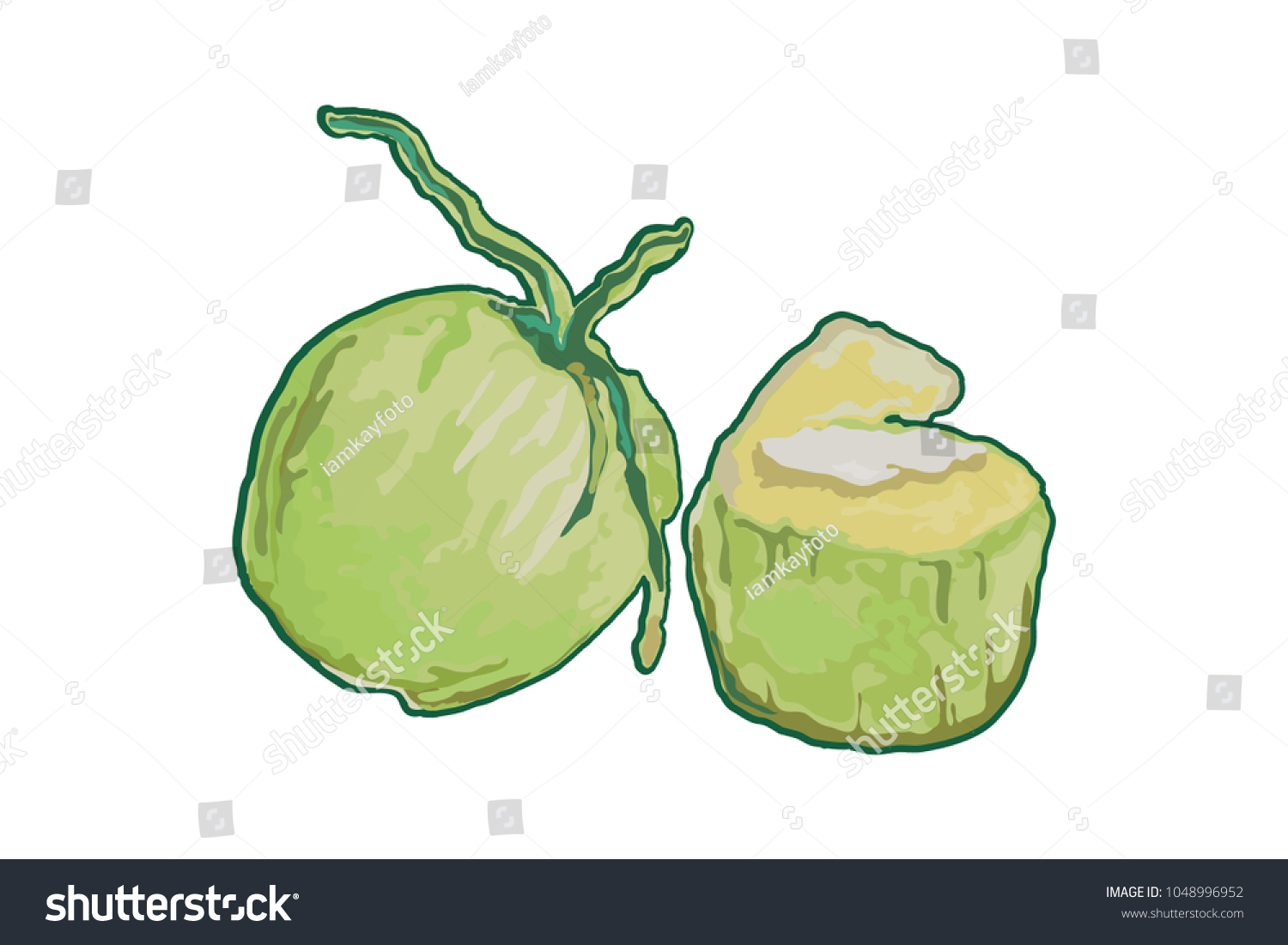 Coconut Illustration Hand Drawing Stock Vector (Royalty Free ...