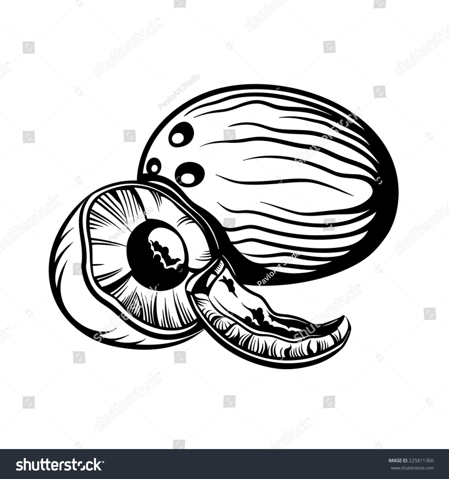 Coconut Outline Engraving Vector Illustration Stock Vector (Royalty ...