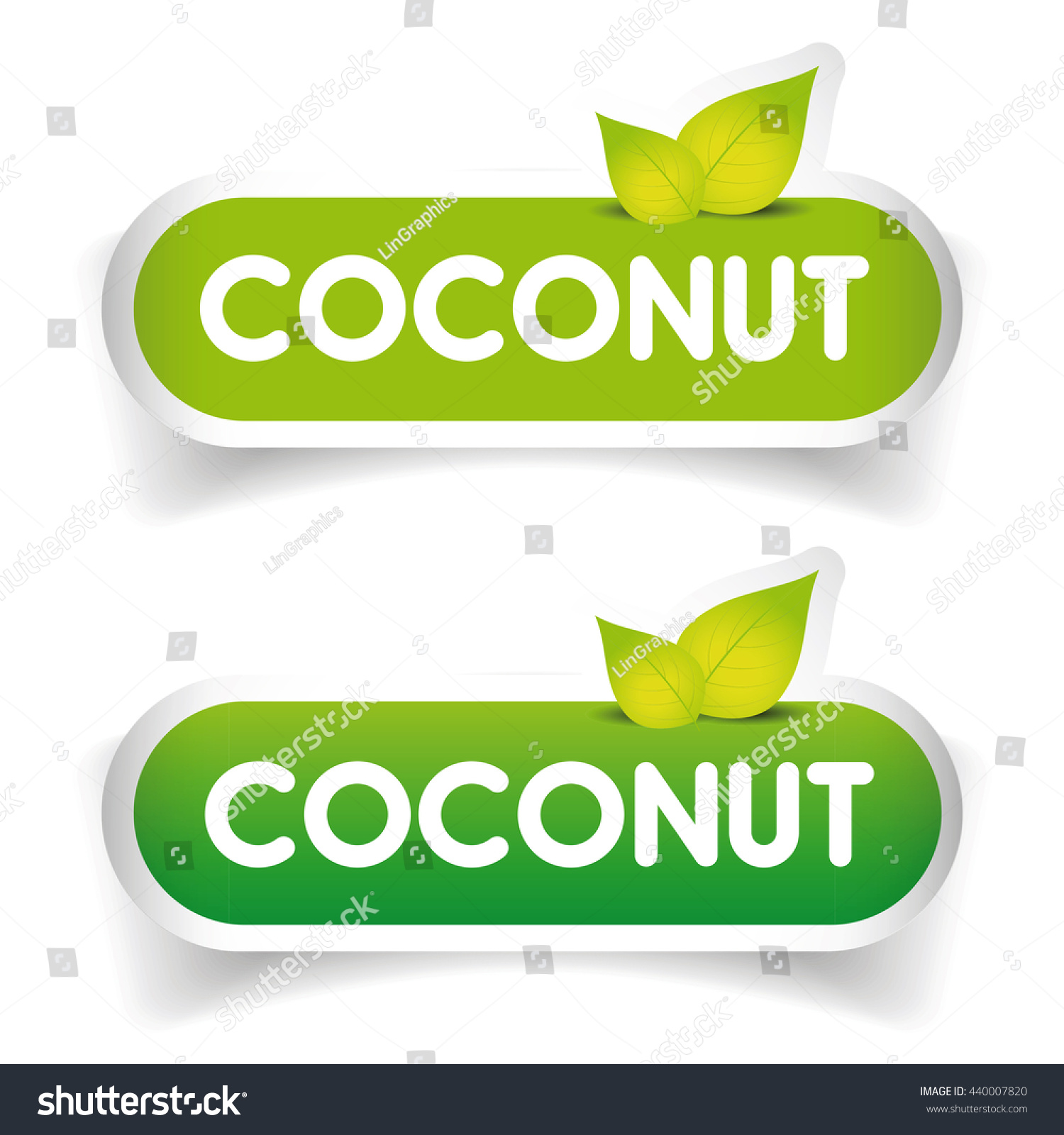 Coconut Sign Label Vector Stock Vector (Royalty Free) 440007820 ...